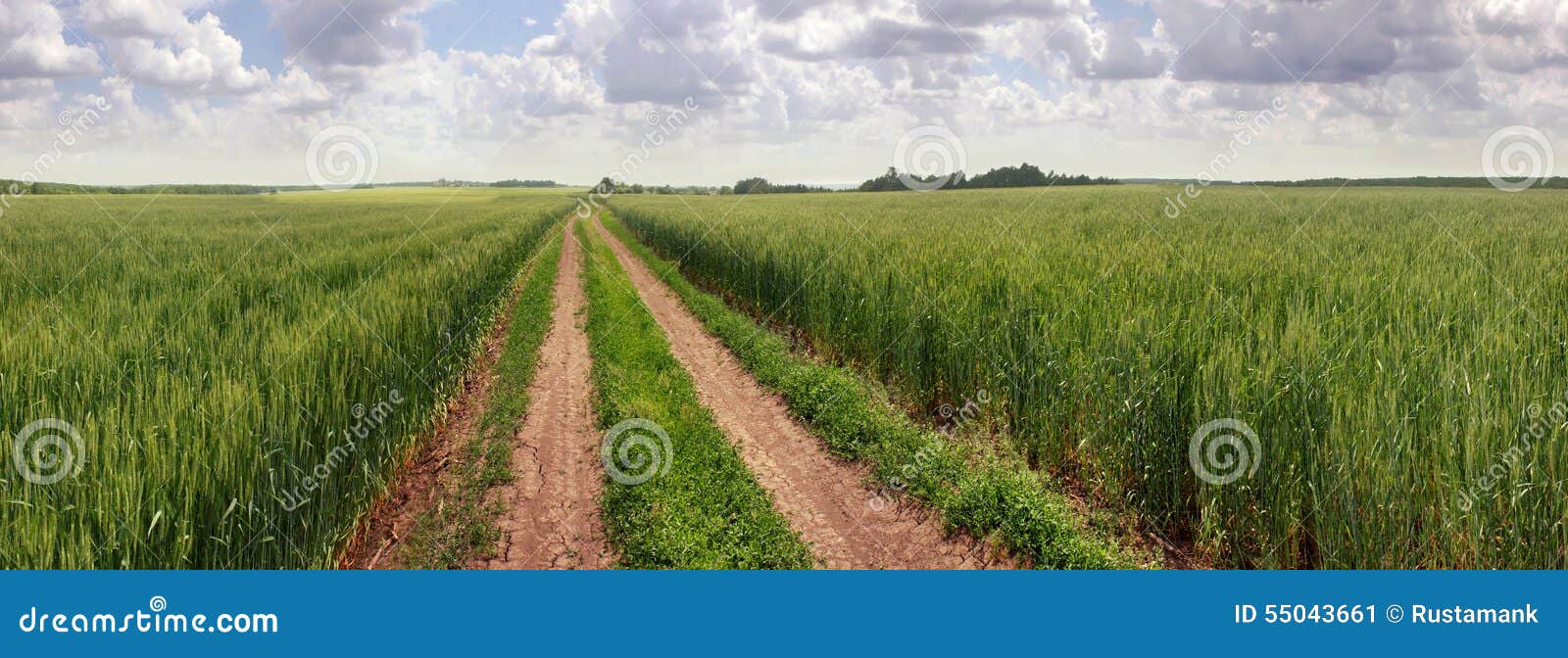 Spring Farm Road Along the Field Stock Image - Image of plantation ...