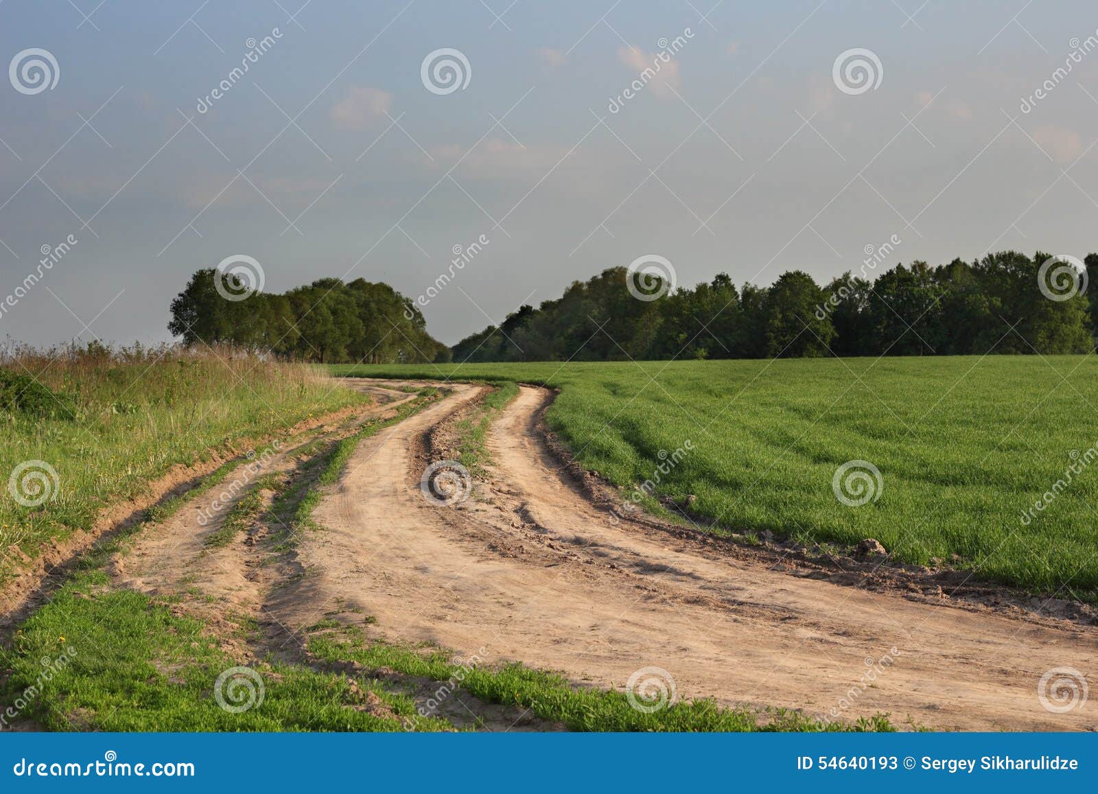 Spring Farm Road Along the Field Stock Image - Image of trees, warm ...
