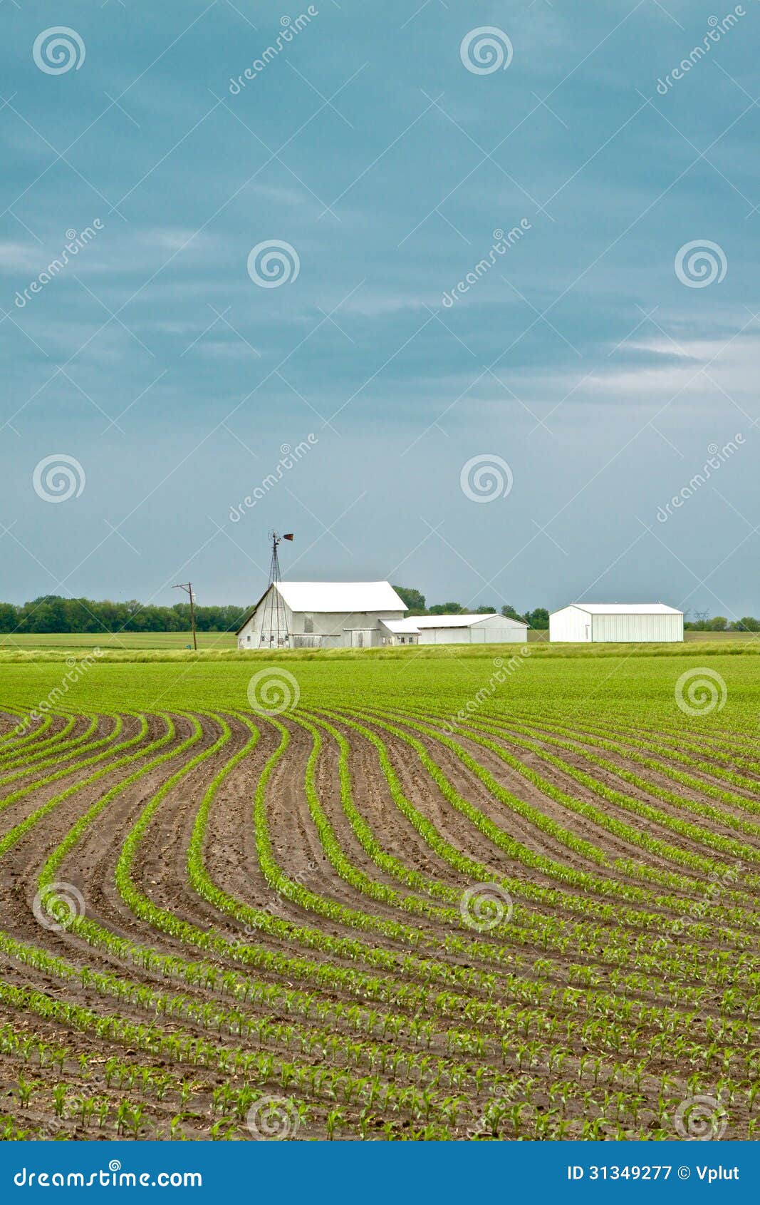 Spring Farm stock image. Image of spring, planted, barn - 31349277