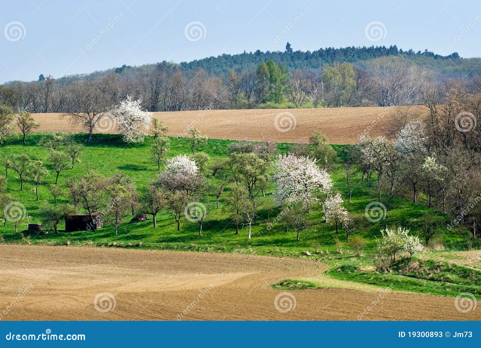 Spring farmland stock image. Image of season, clay, countryside - 19300893