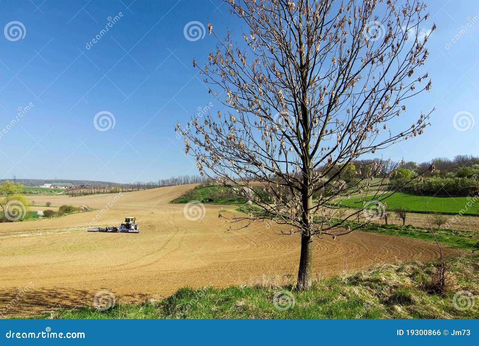 Spring Farmland with Tractor Stock Photo - Image of nature, earth: 19300866