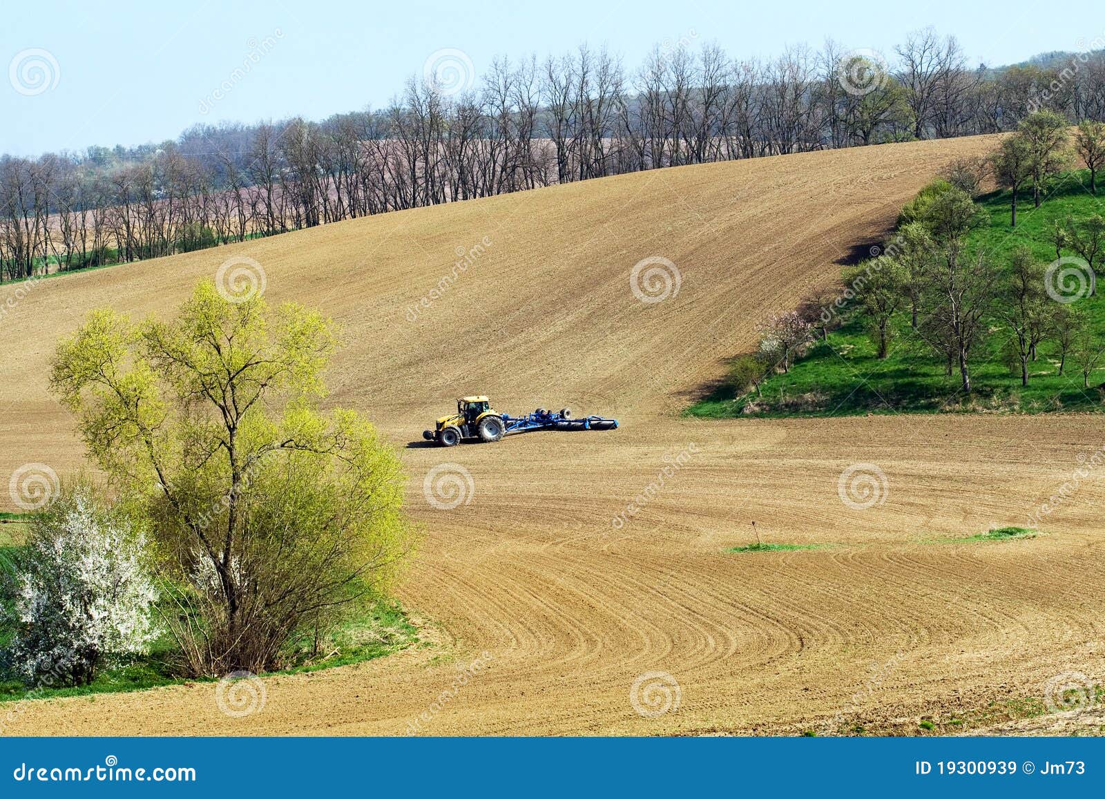 Spring Farmland with Tractor Stock Image - Image of blossom, farm: 19300939