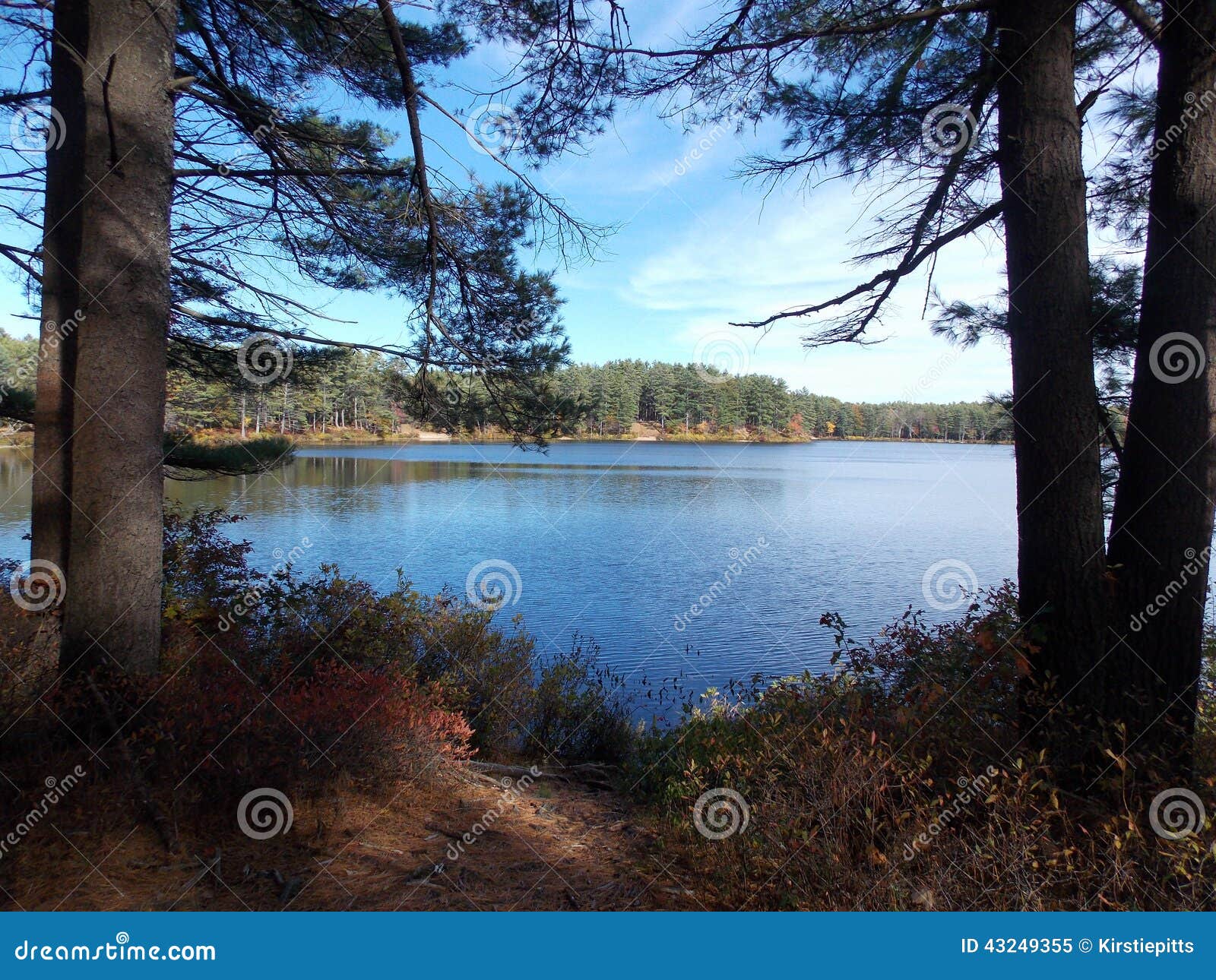 Spring fed bathing hole stock image. Image of last, stories - 43249355
