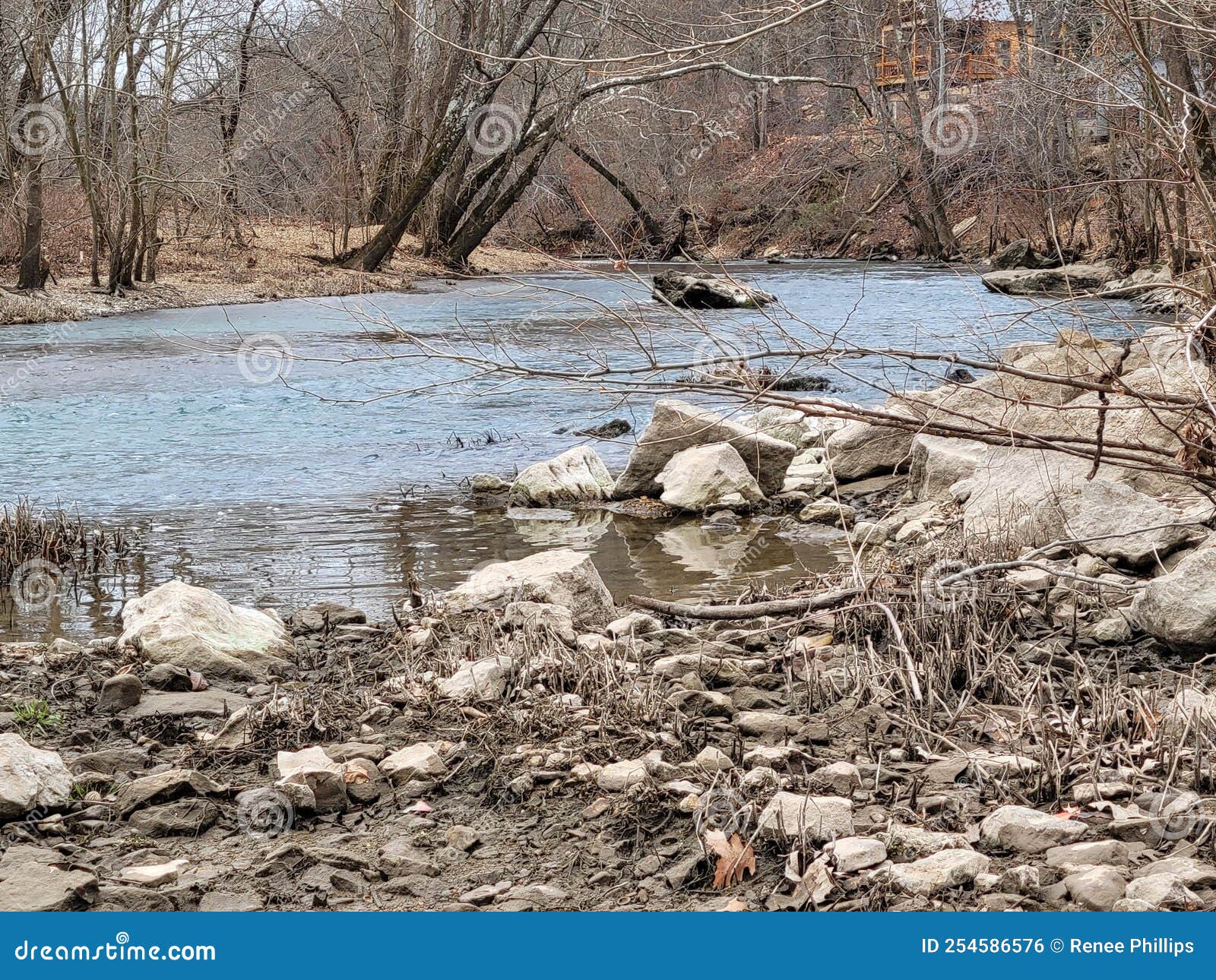 Spring fed creek riverbed stock photo. Image of rock - 254586576