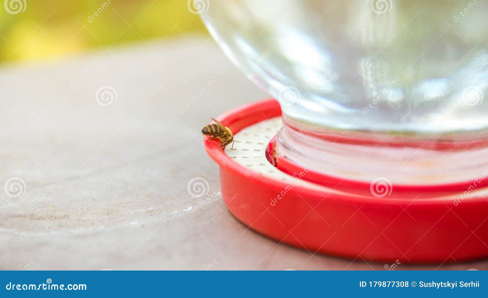 Spring Feeding of Bees. Extra Food for Bees in the Spring Stock Photo ...