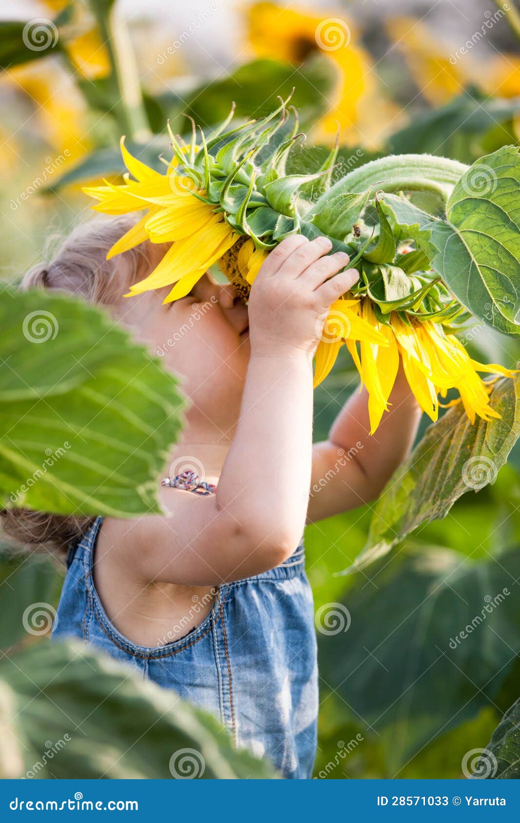 Spring feeling stock image. Image of growth, earth, happiness - 28571033
