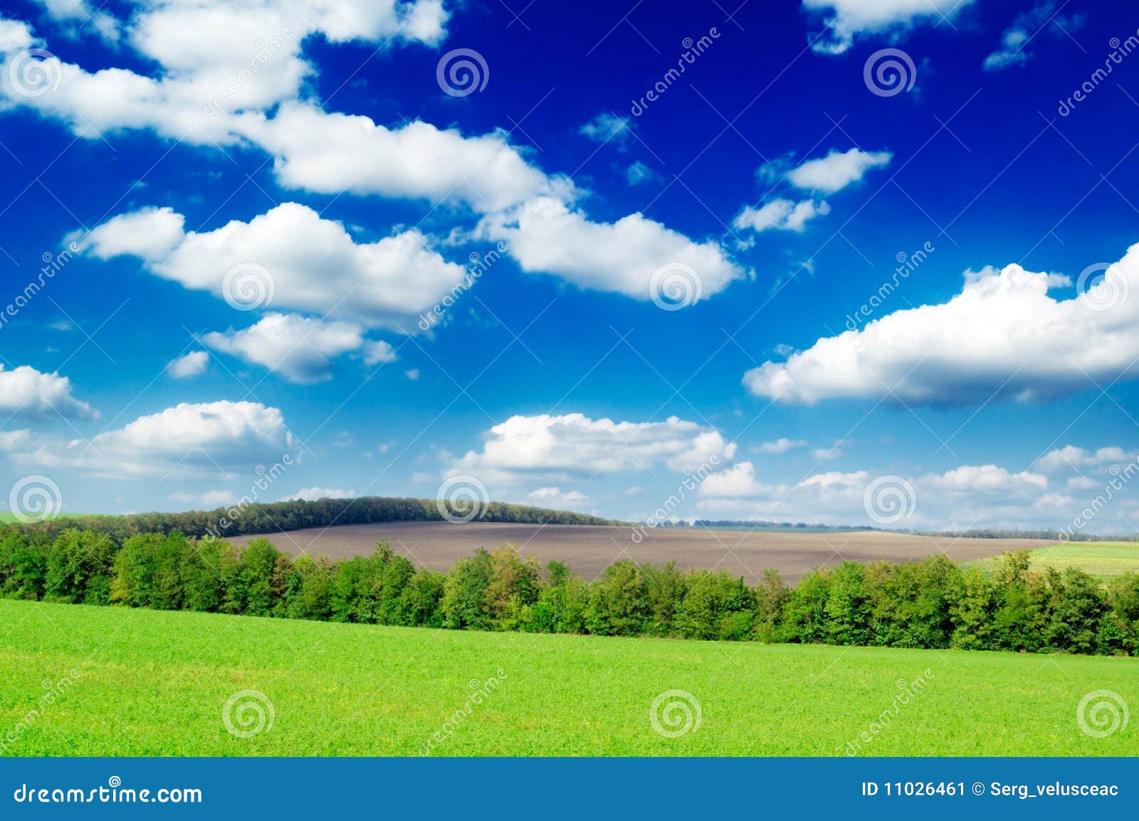 Spring field stock image. Image of outside, grow, clouds - 11026461
