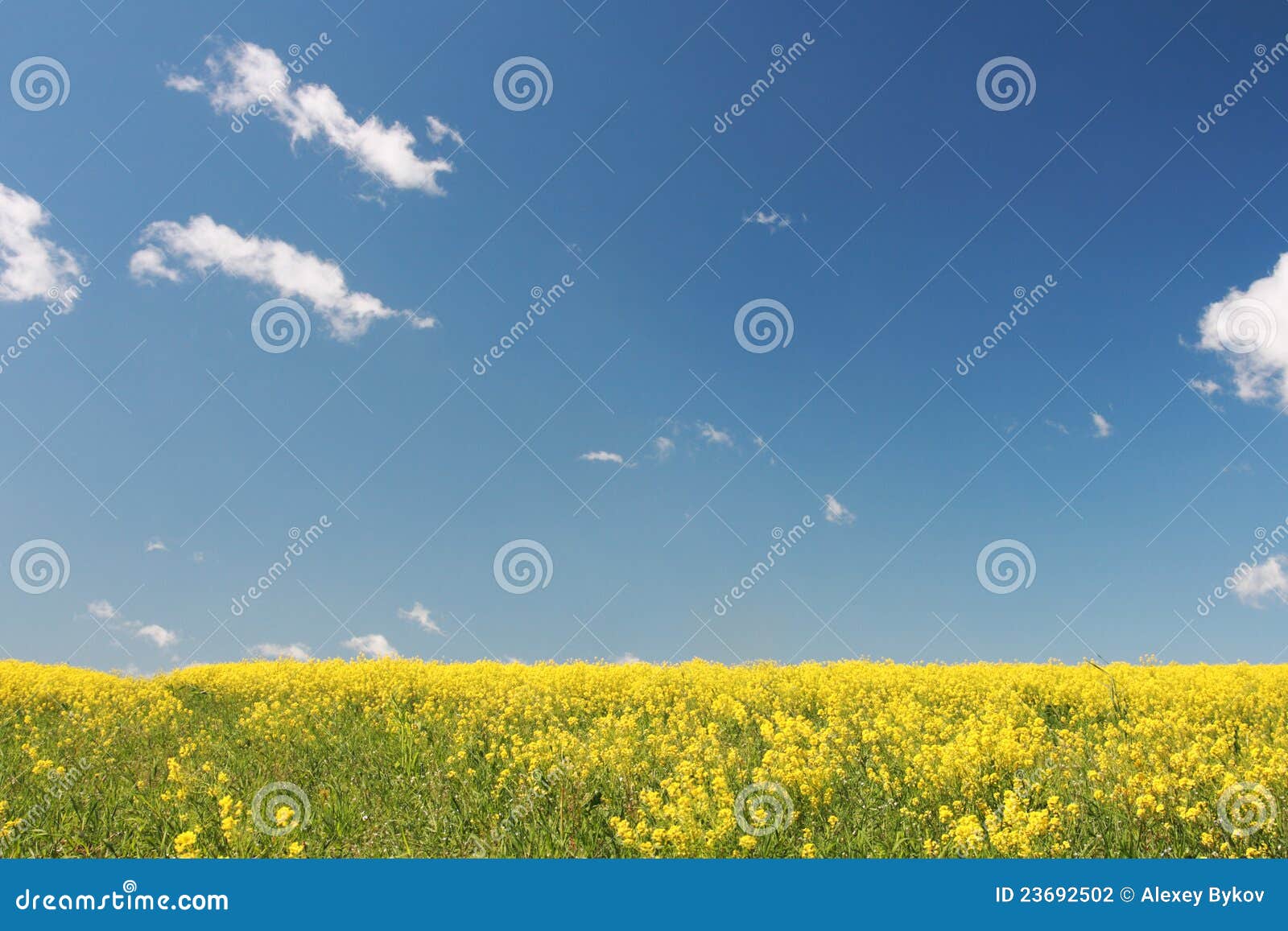 Spring field. stock photo. Image of clouds, spring, field - 23692502