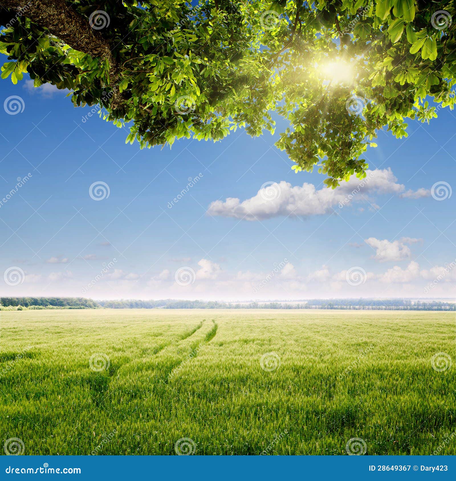 Spring field stock image. Image of color, land, meadow - 28649367