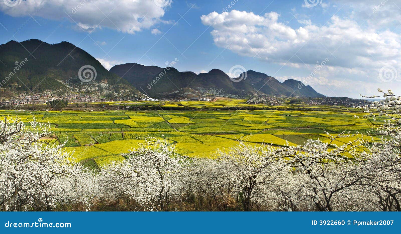 Spring field stock photo. Image of spring, nature, mountains - 3922660