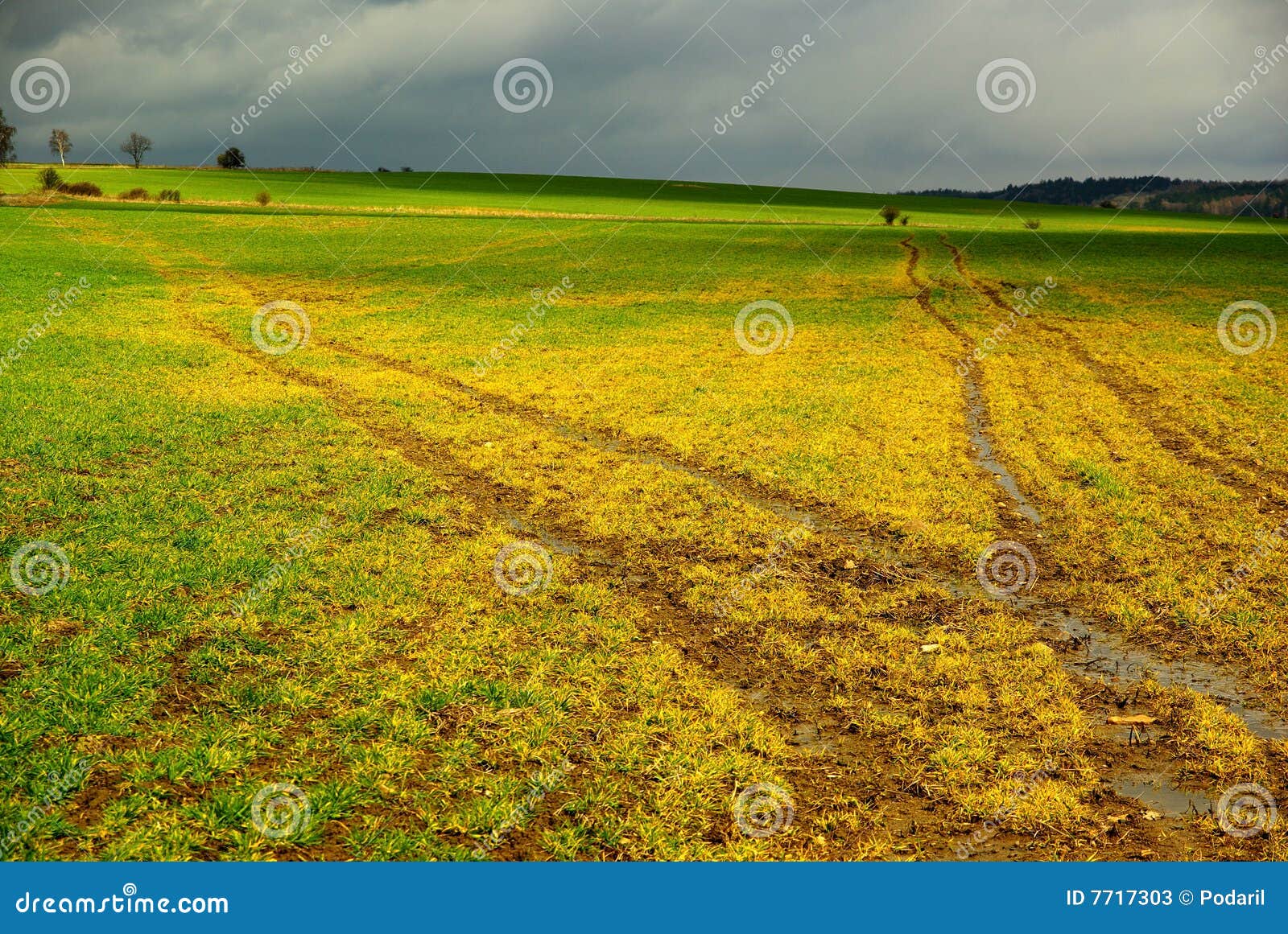Spring field stock image. Image of ecology, farmland, heaven - 7717303