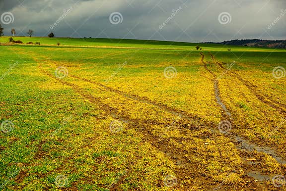 Spring field stock image. Image of ecology, farmland, heaven - 7717303
