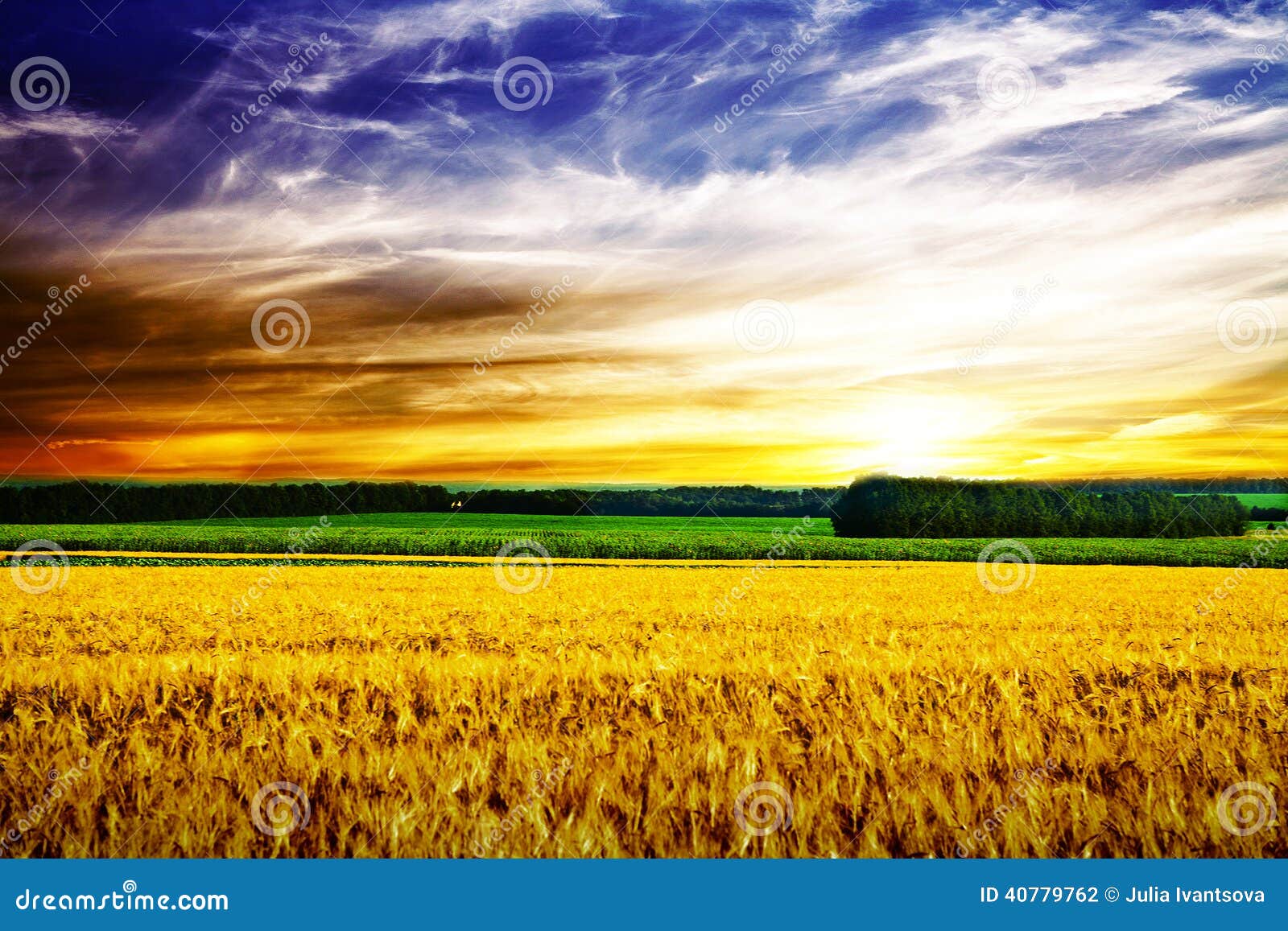 Spring field stock photo. Image of green, season, foliage - 40779762