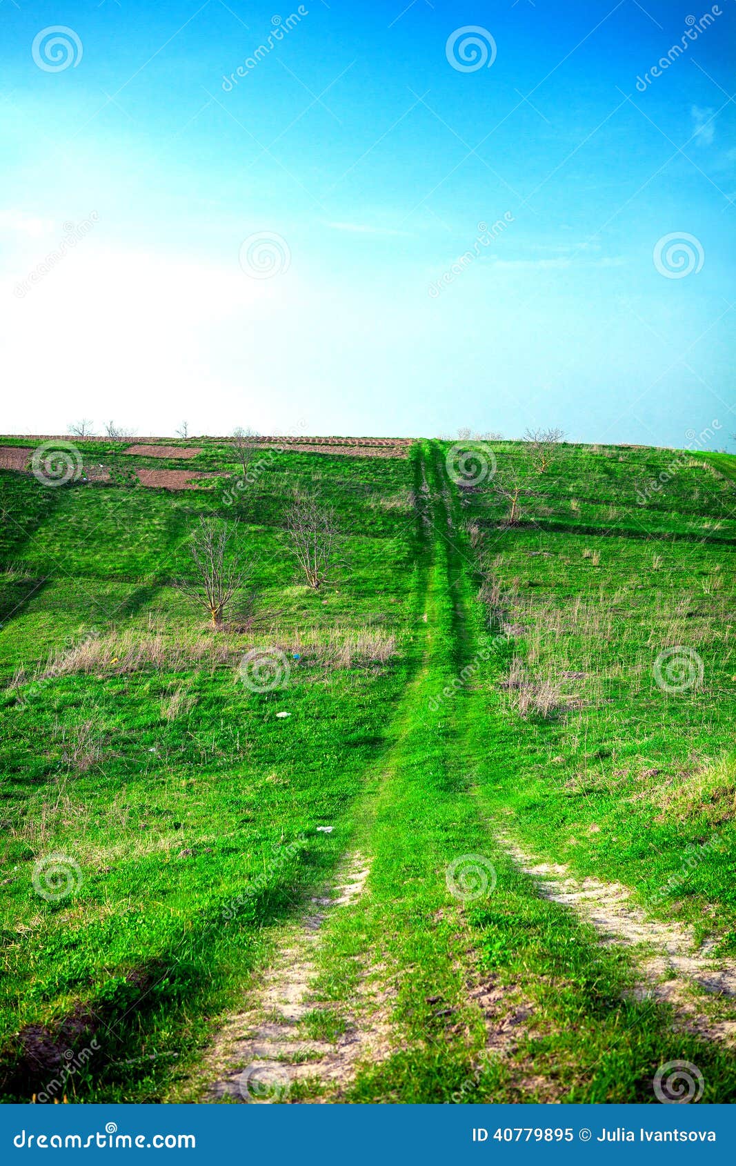 Spring field stock image. Image of country, spring, grassy - 40779895