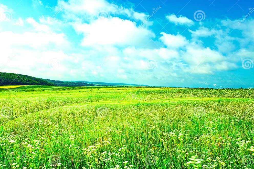 Spring field stock image. Image of clouds, outside, outdoor - 40779931