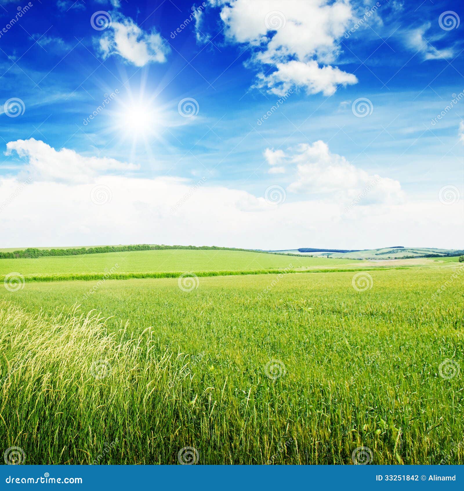 Spring field stock photo. Image of cloudy, evening, morning - 33251842