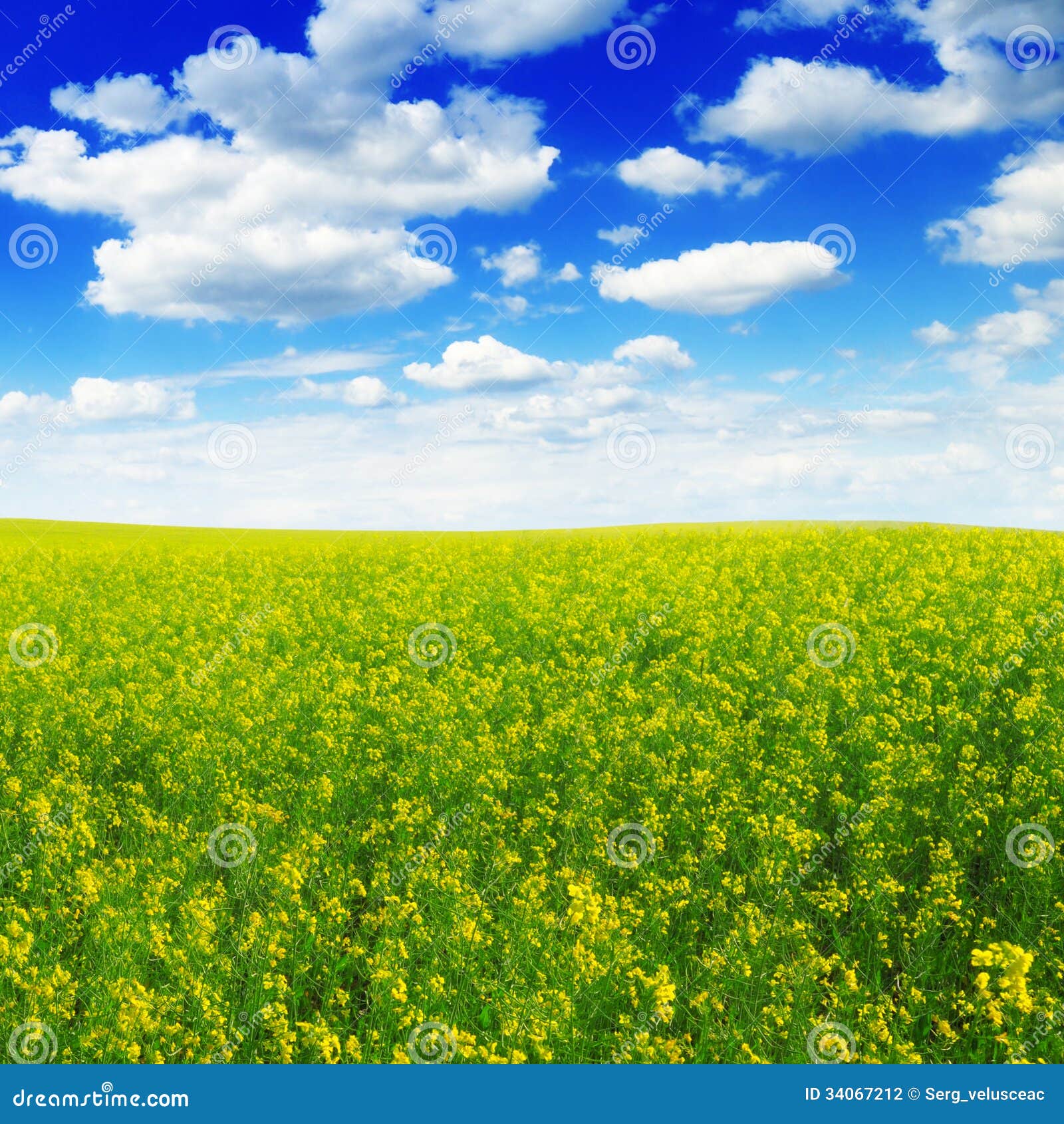 Spring field stock photo. Image of meadow, outdoor, beautiful - 34067212