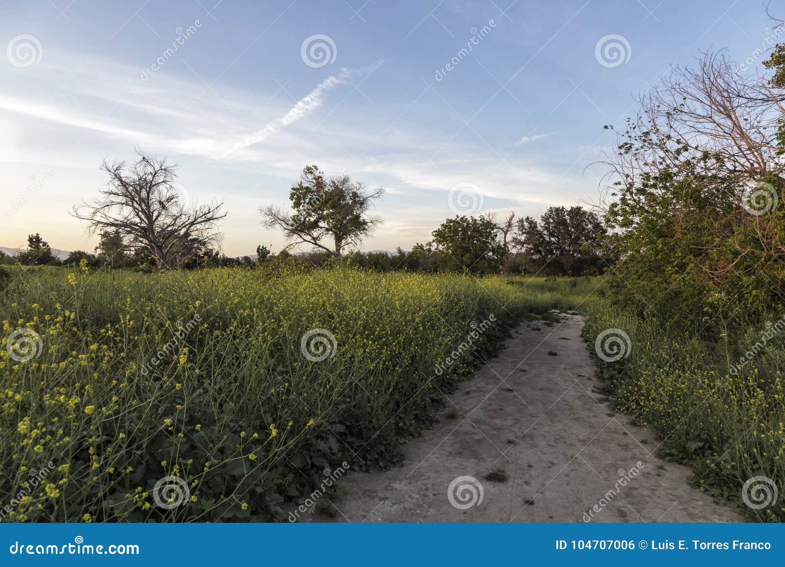 The Spring Fields stock photo. Image of landscape, farm - 104707006