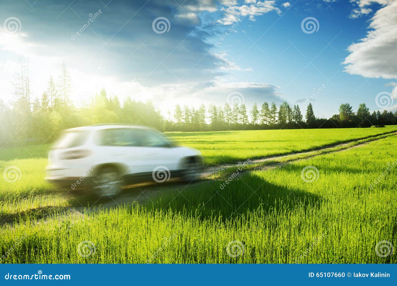 Spring Field and Blured Car on Ground Road Stock Photo - Image of speed ...