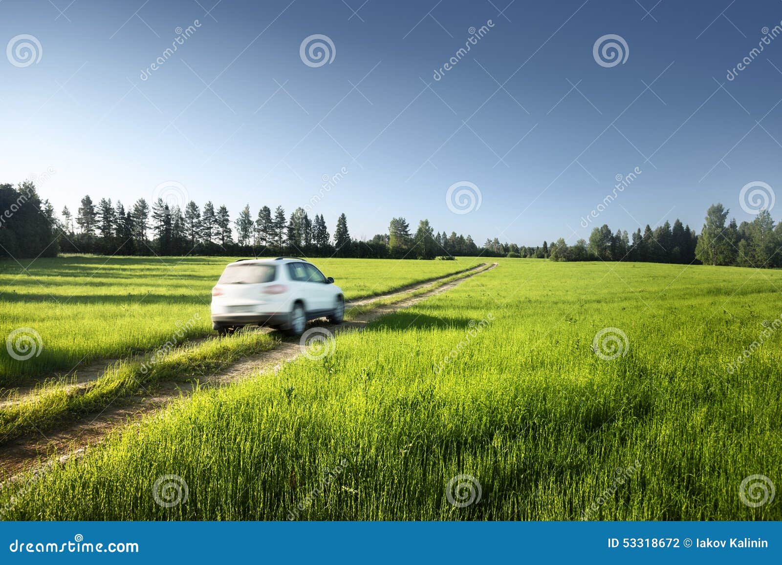 Spring Field and Blurred Car on Ground Road Stock Photo - Image of ...