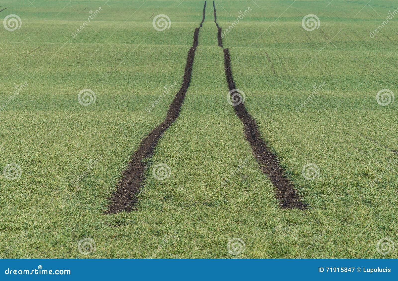 Spring field with grooves stock image. Image of farm - 71915847