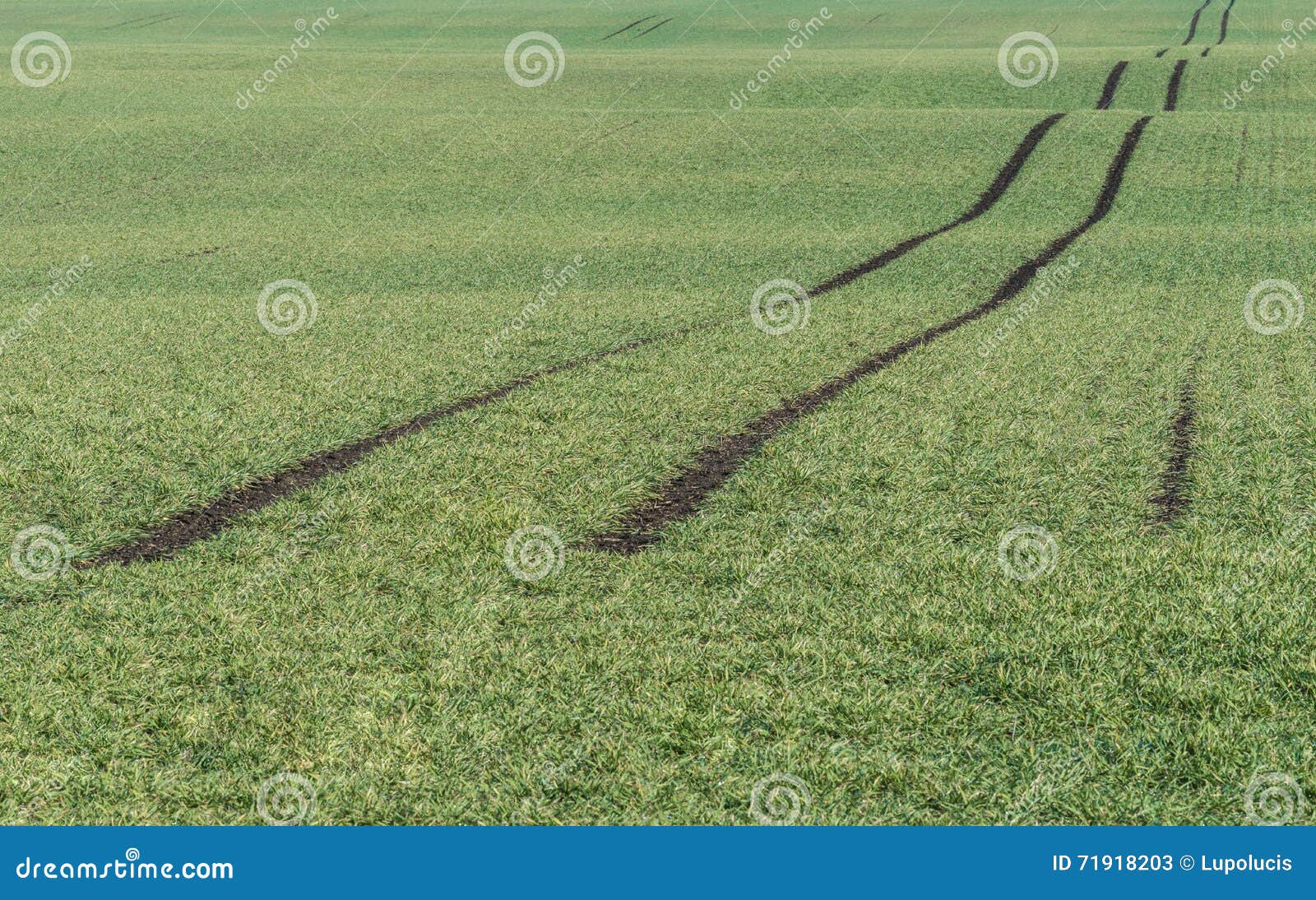 Spring field with grooves stock image. Image of furrow - 71918203