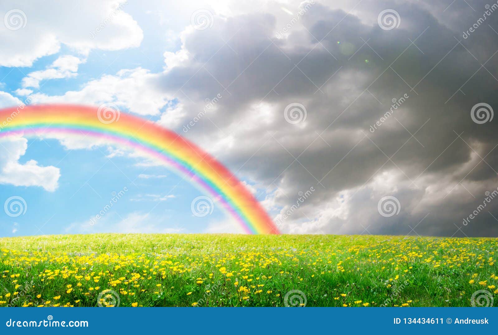 A Spring Field Landscape with Flowers and Rainbow Stock Image - Image ...