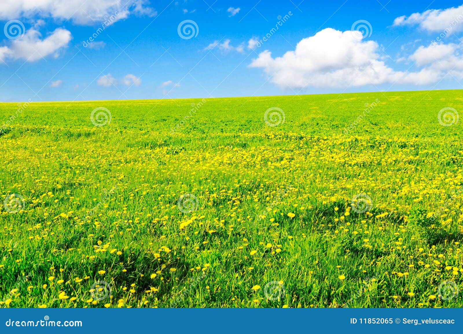 Spring fields stock image. Image of countryside, outside - 11852065