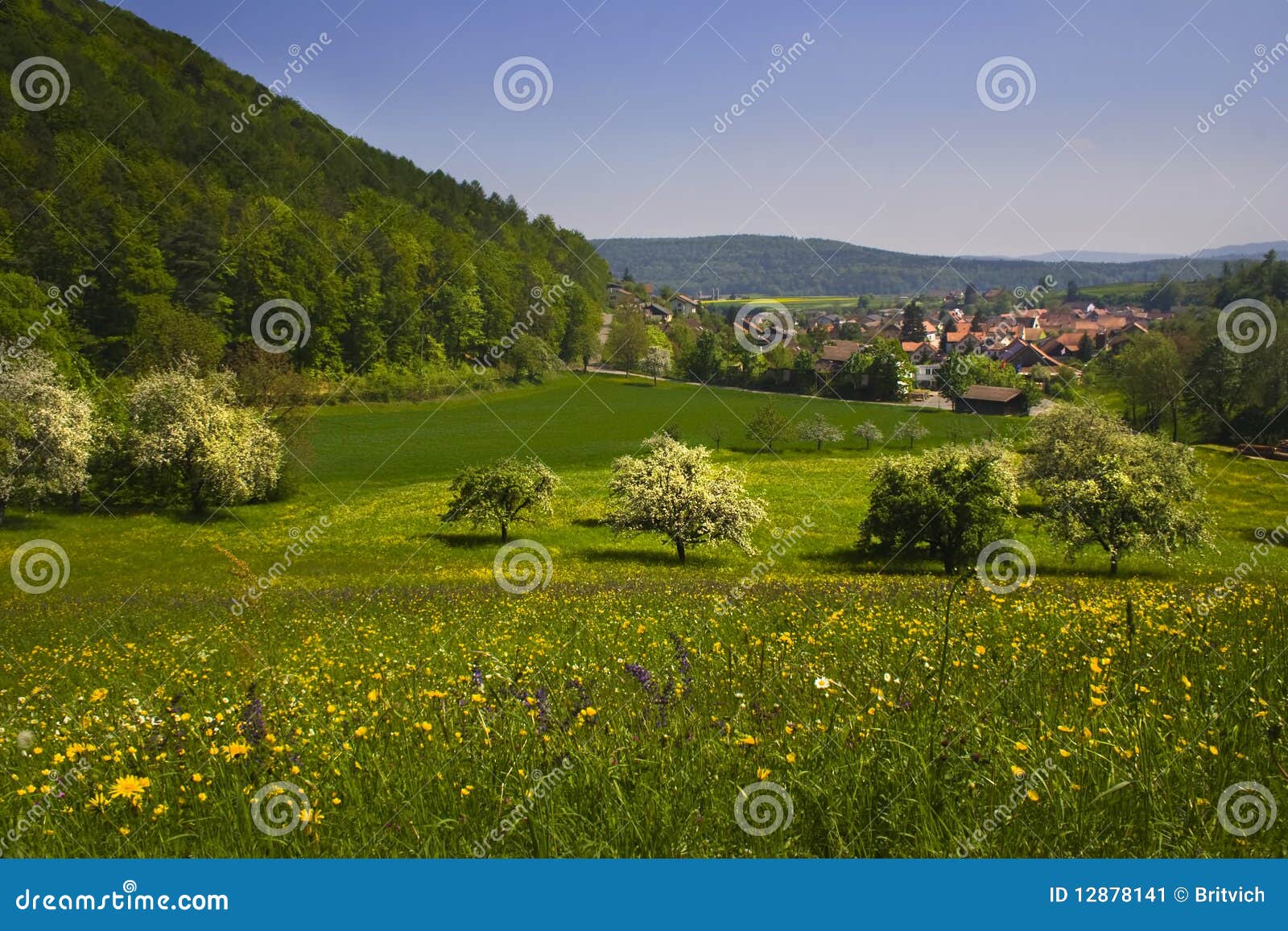 Spring fields stock image. Image of beauty, rural, bloom - 12878141