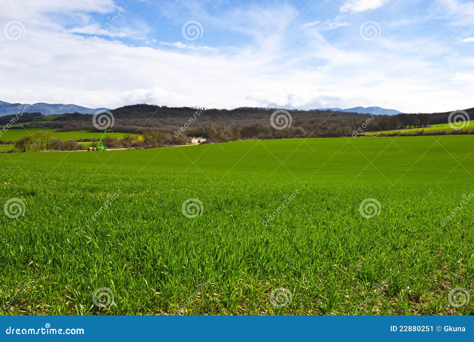 Spring Fields stock image. Image of mist, pattern, field - 22880251