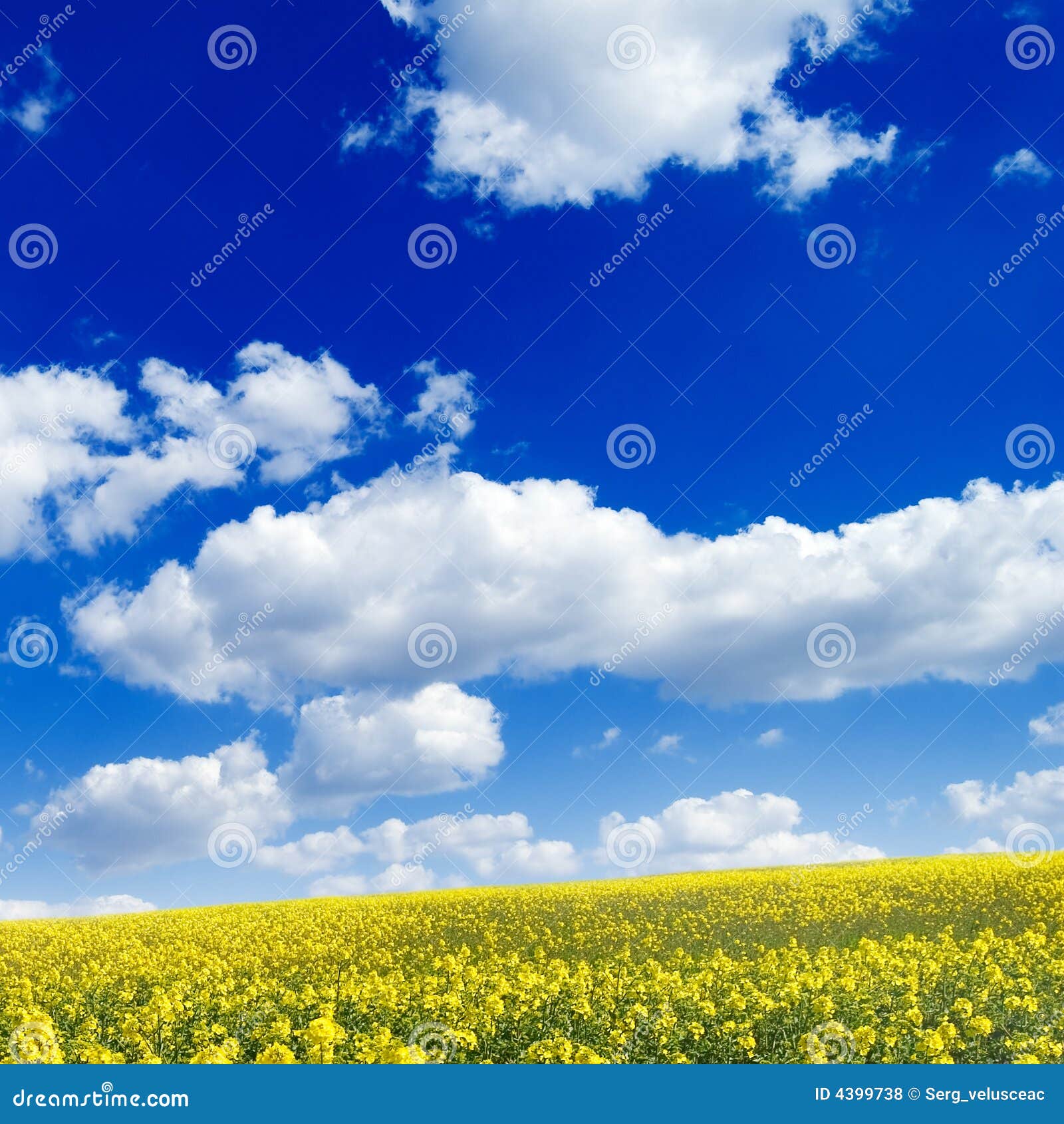 Spring fields stock photo. Image of beautiful, colorful - 4399738