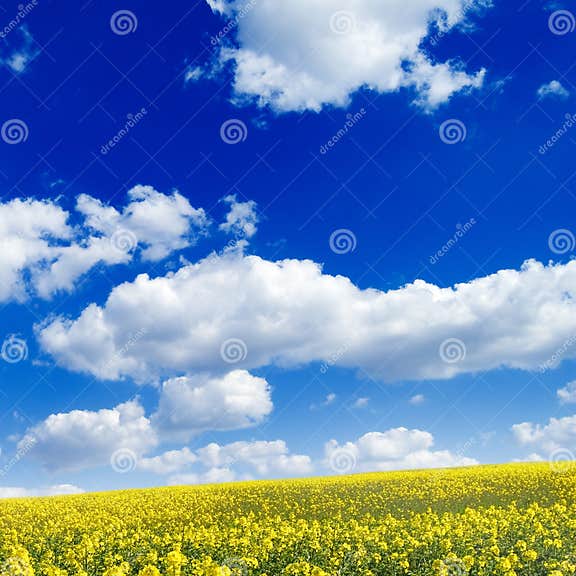 Spring fields stock photo. Image of beautiful, colorful - 4399738