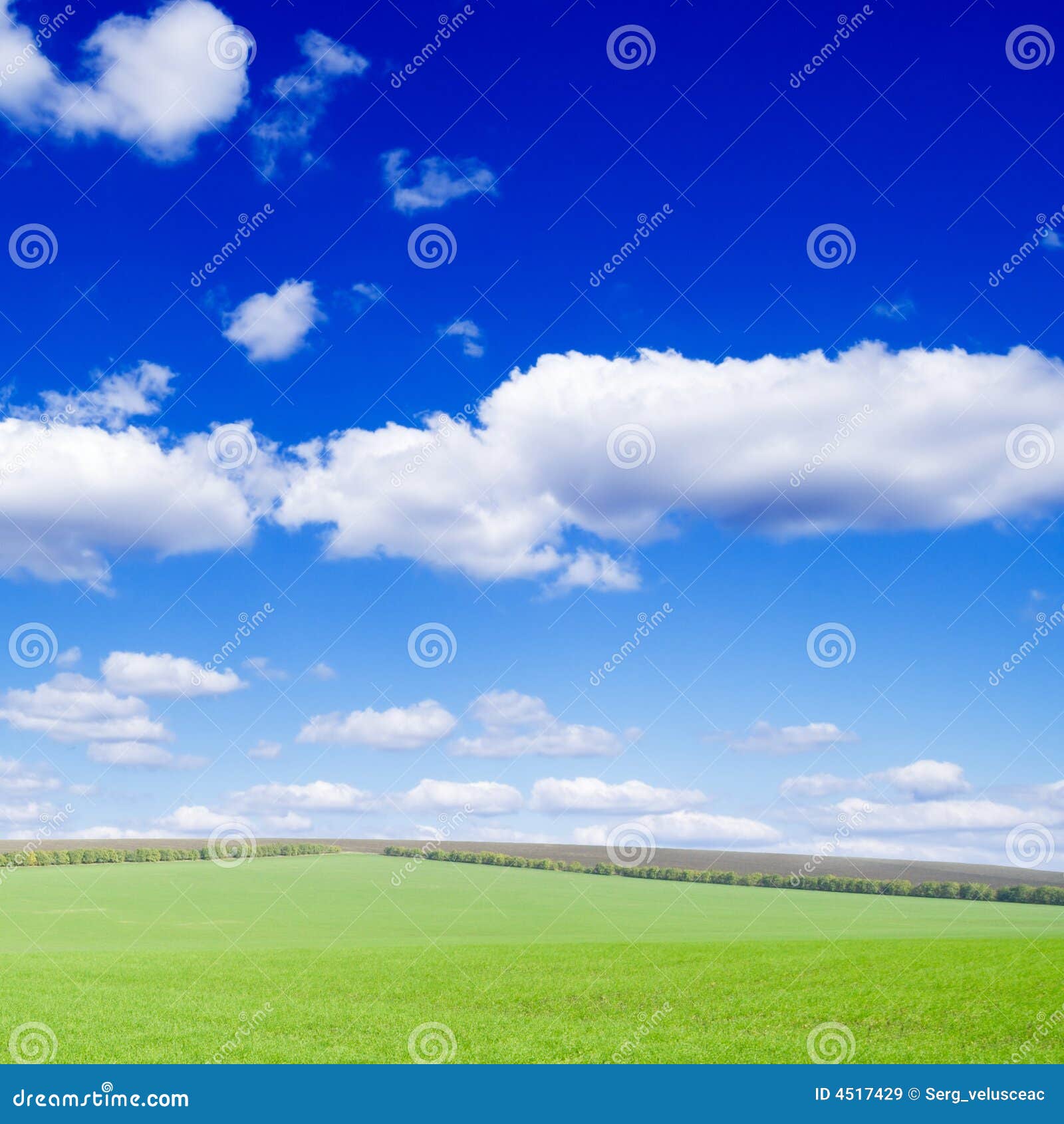 Spring fields stock image. Image of horizon, farming, countryside - 4517429