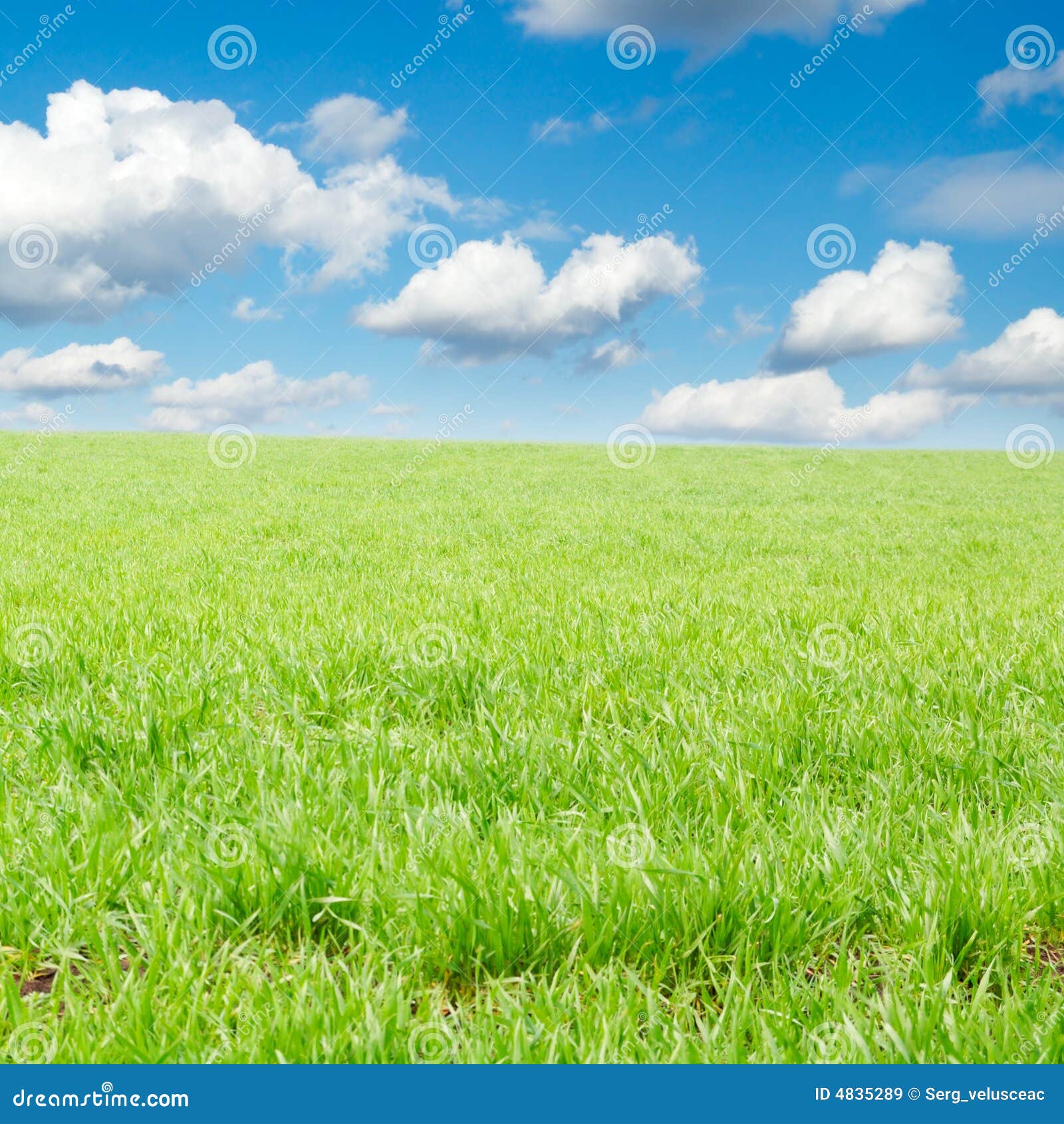 Spring fields stock image. Image of outside, blue, cloudy - 4835289