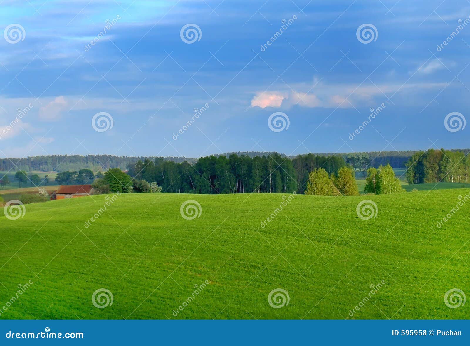 Spring fields stock photo. Image of grass, idyllic, trees - 595958