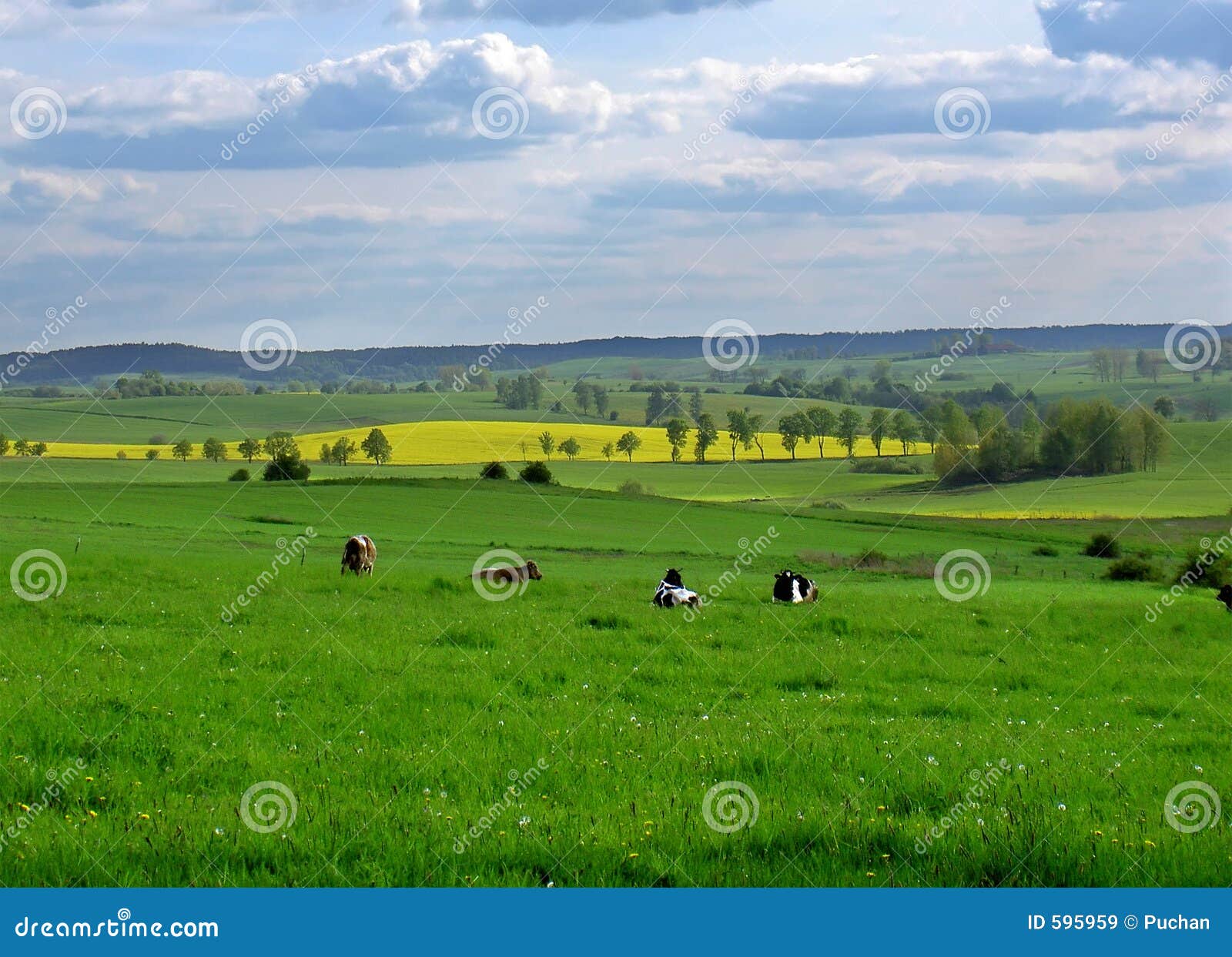 Spring fields stock image. Image of sunny, spring, fields - 595959