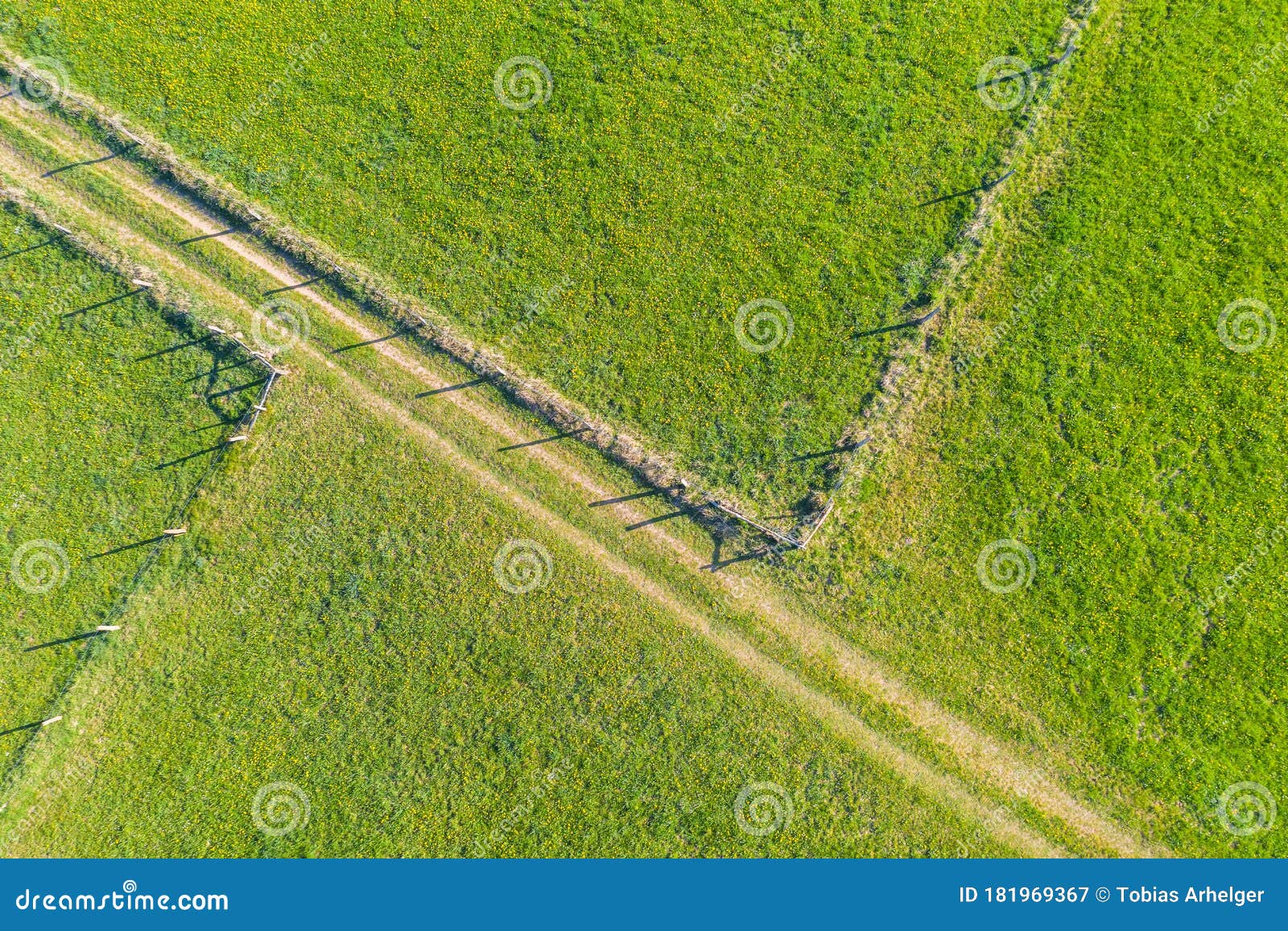Spring Fields and Fences from Above Stock Image - Image of farming ...