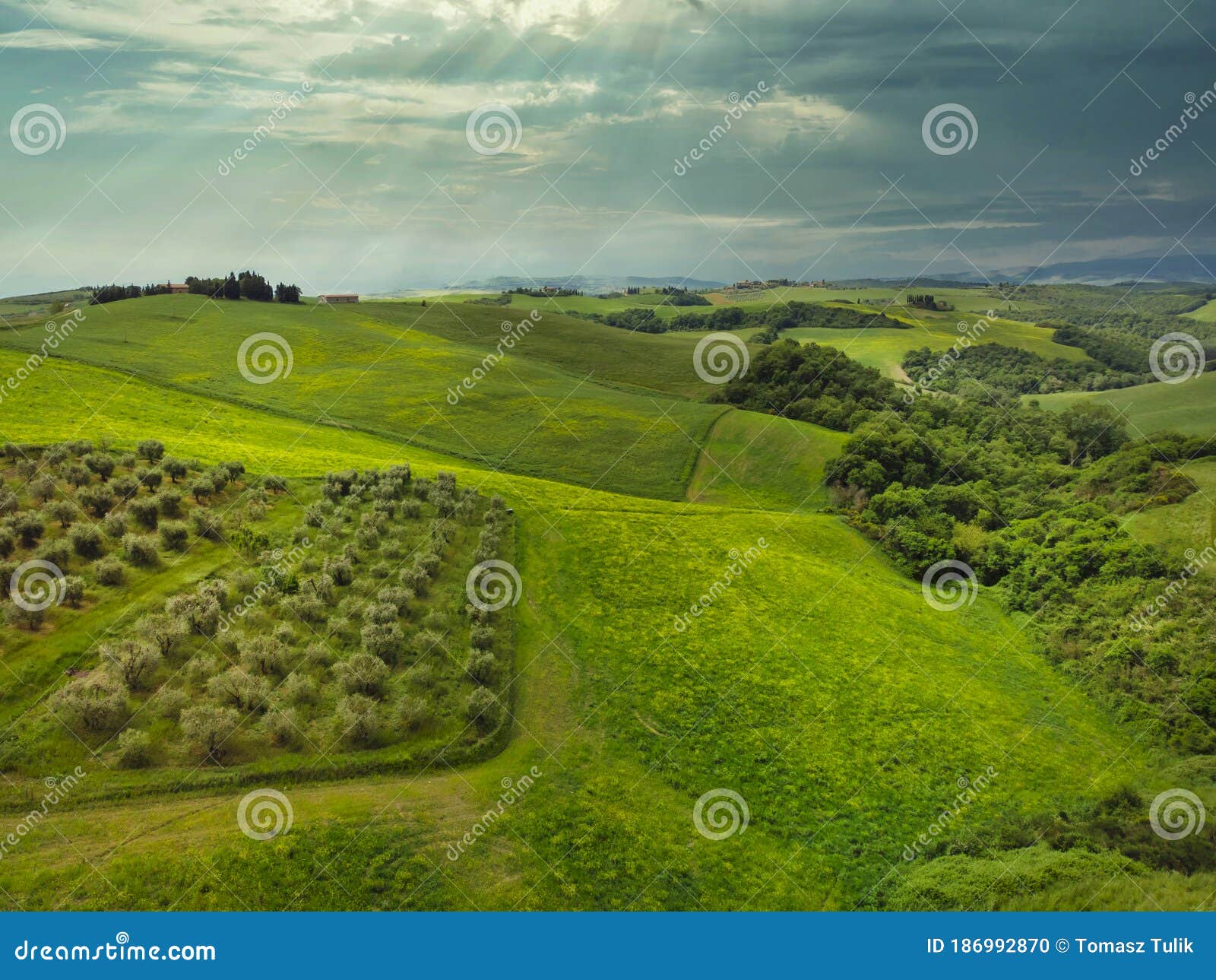 Spring in the Fields of Tuscany in the Sunset Stock Photo - Image of ...