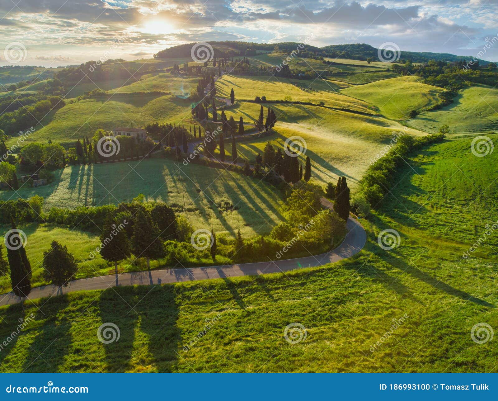 Spring in the Fields of Tuscany in the Sunset Stock Photo - Image of ...