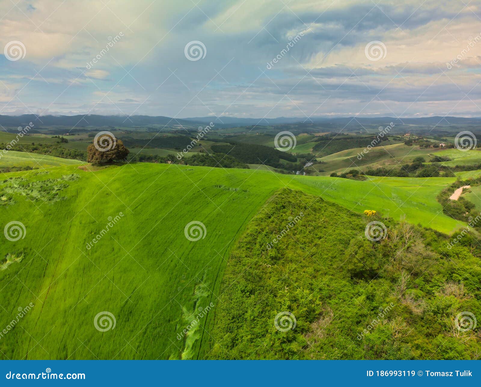 Spring in the Fields of Tuscany in the Sunset Stock Image - Image of ...