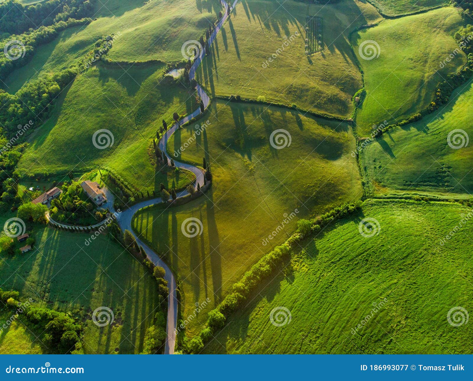 Spring in the Fields of Tuscany in the Sunset Stock Image - Image of ...