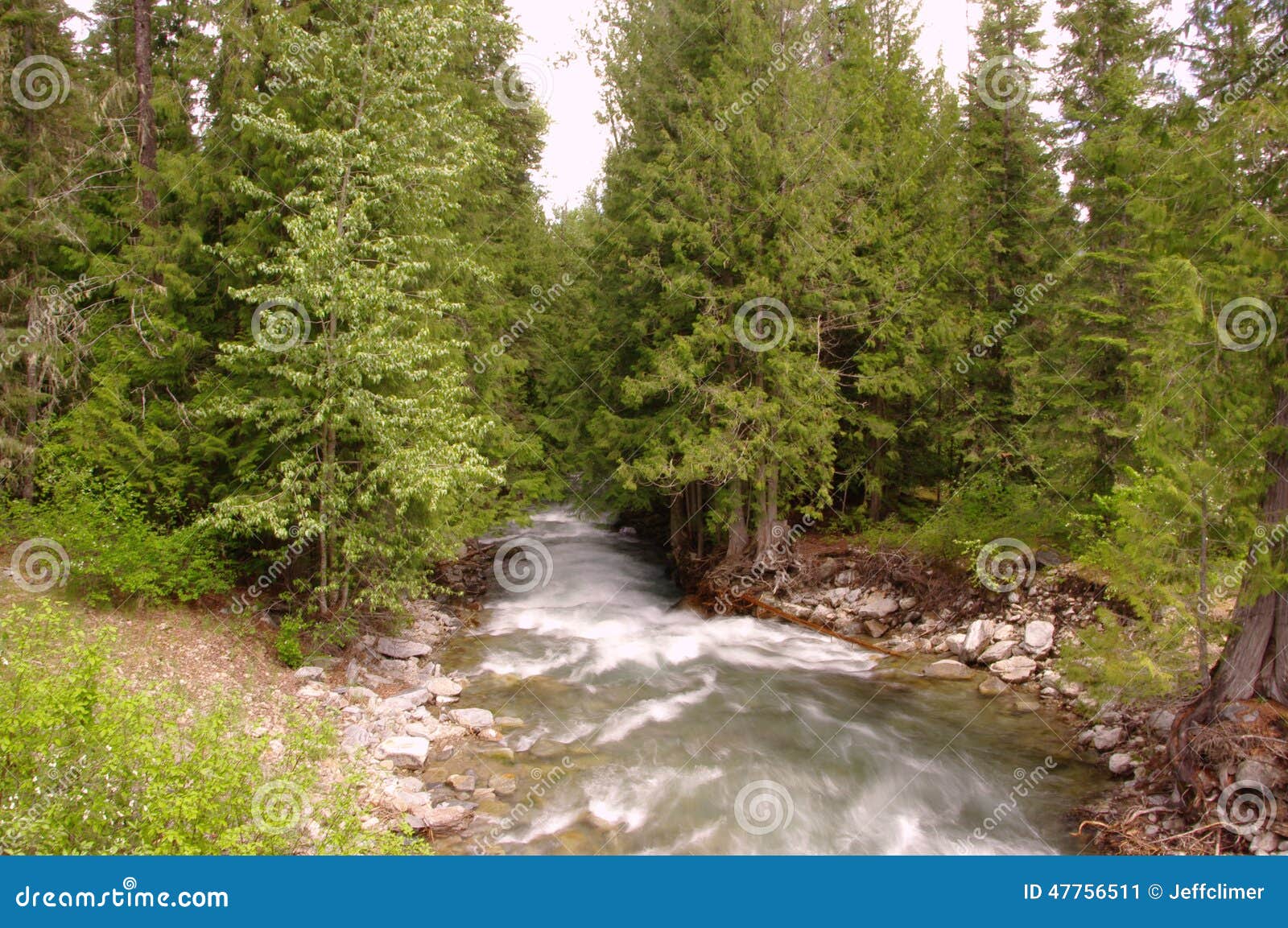 Spring Filled Mountain Stream. Stock Image - Image of mountain, trees ...