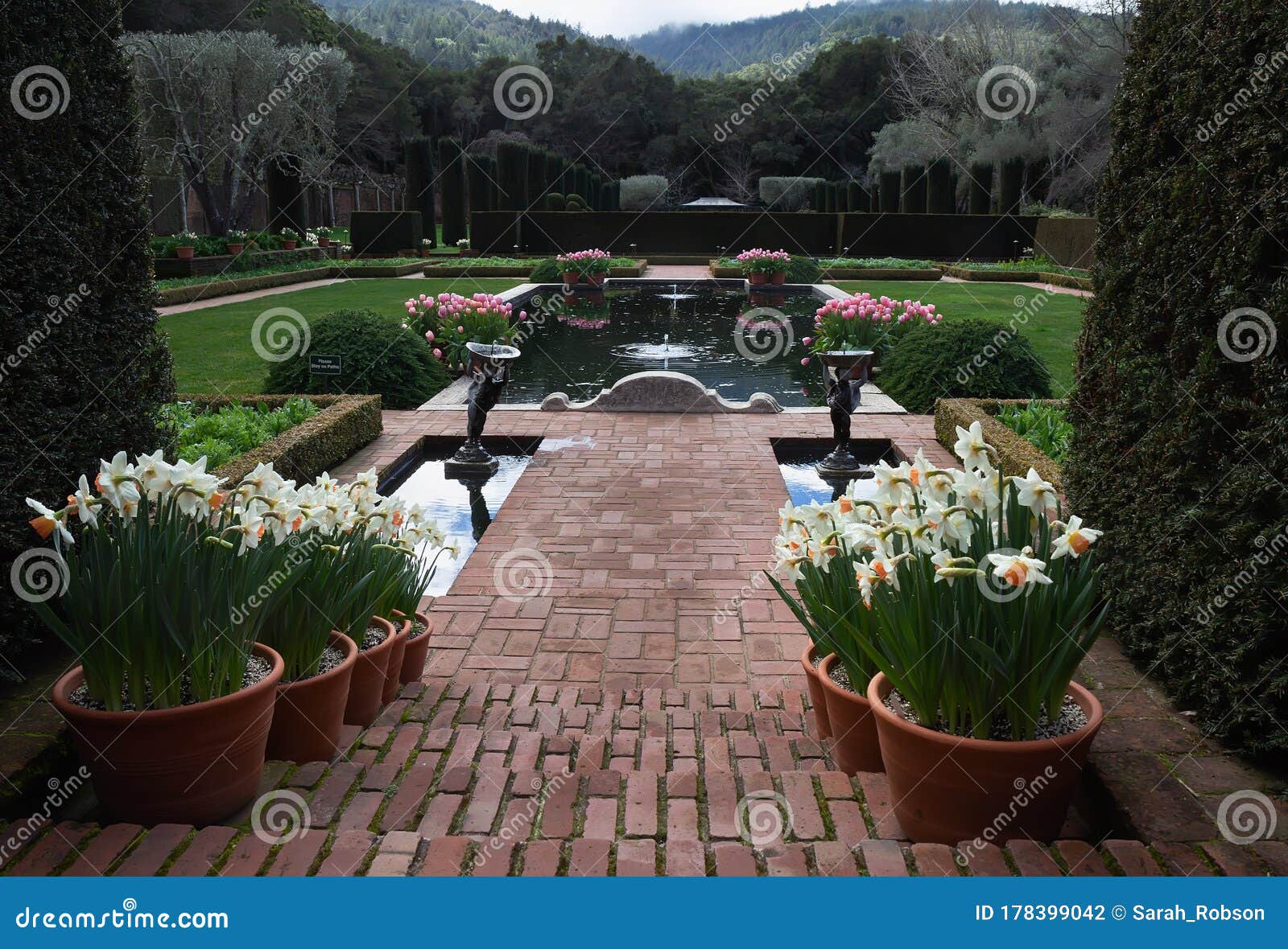 Spring in Filoli Historic Garden . View with Pond Stock Photo - Image ...