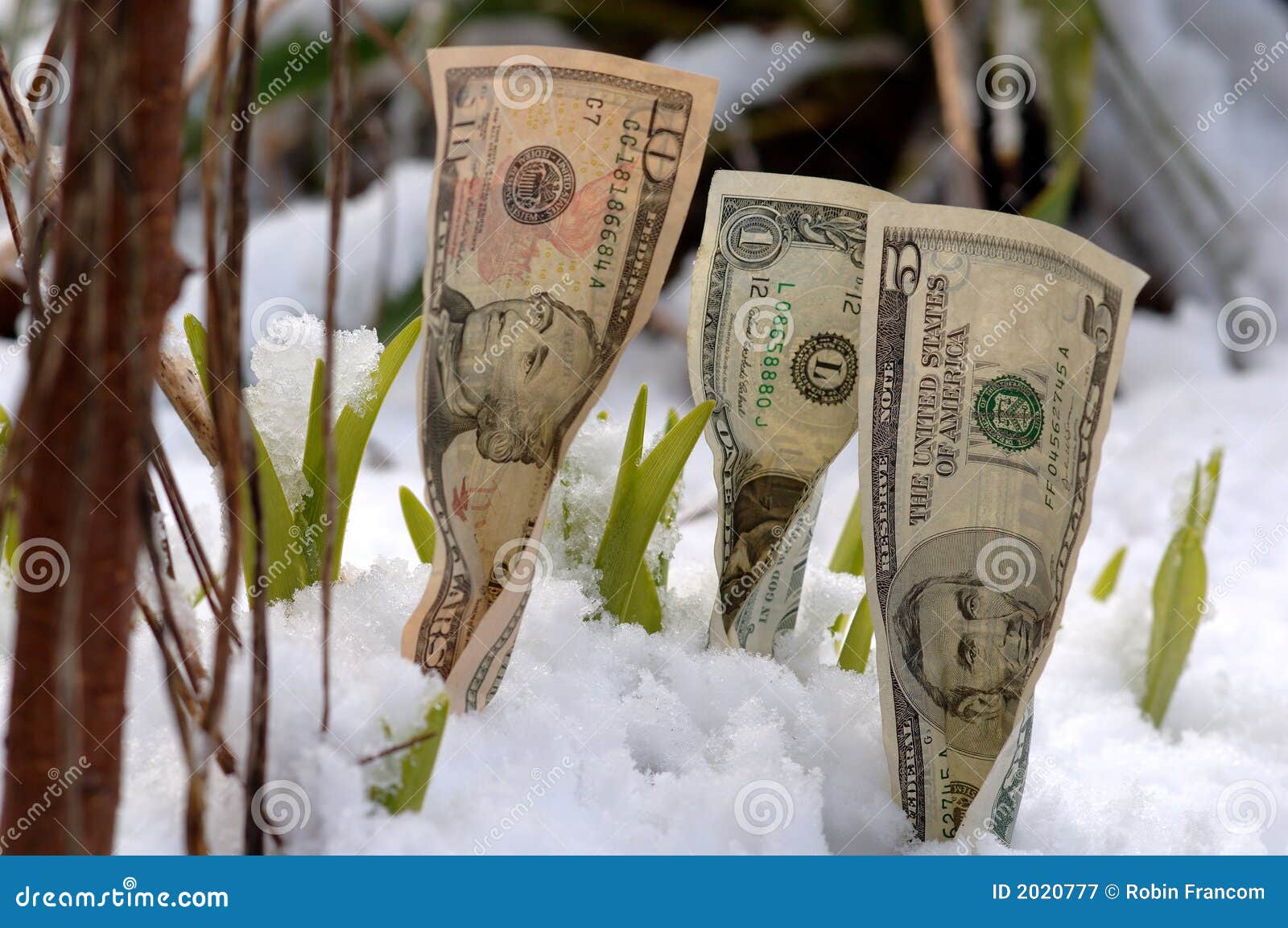 Spring Financial Growth stock image. Image of five, increasing - 2020777