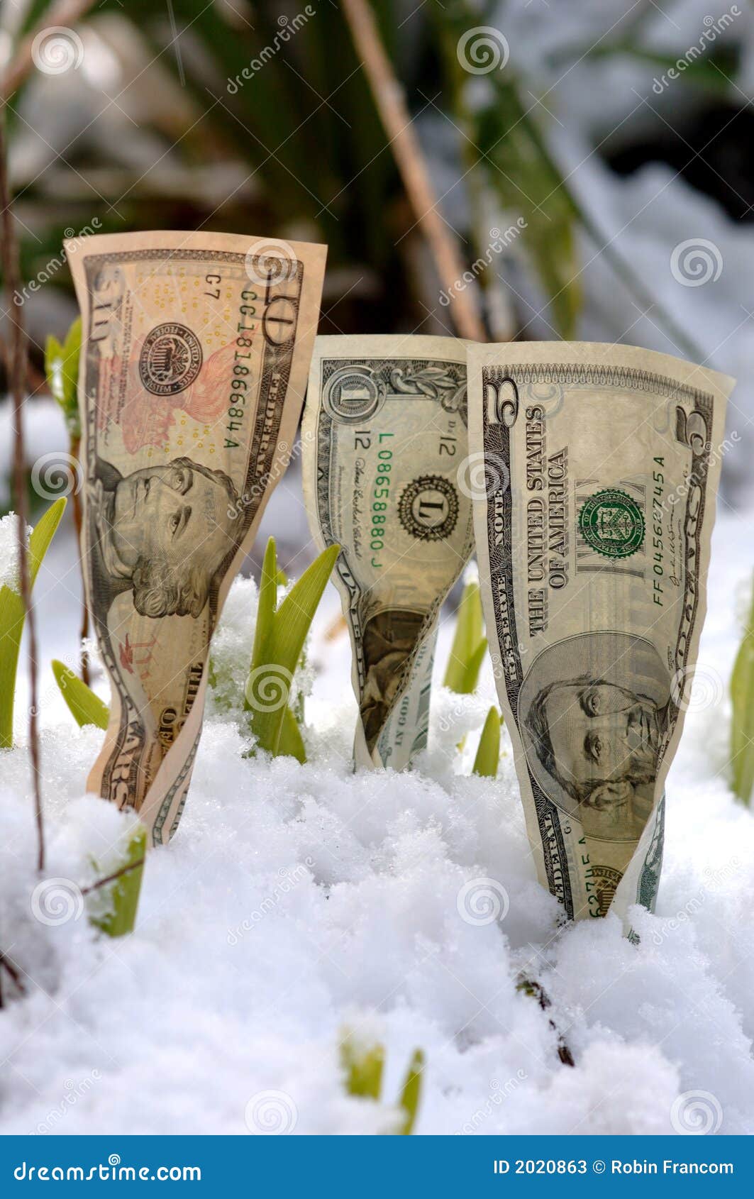 Spring Financial Growth stock image. Image of earnings - 2020863