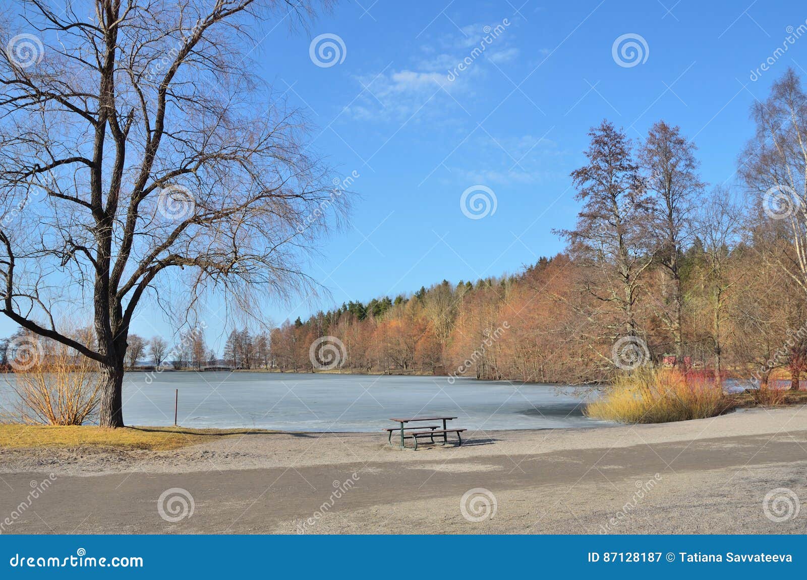 Spring in Finland stock image. Image of lake, plants - 87128187