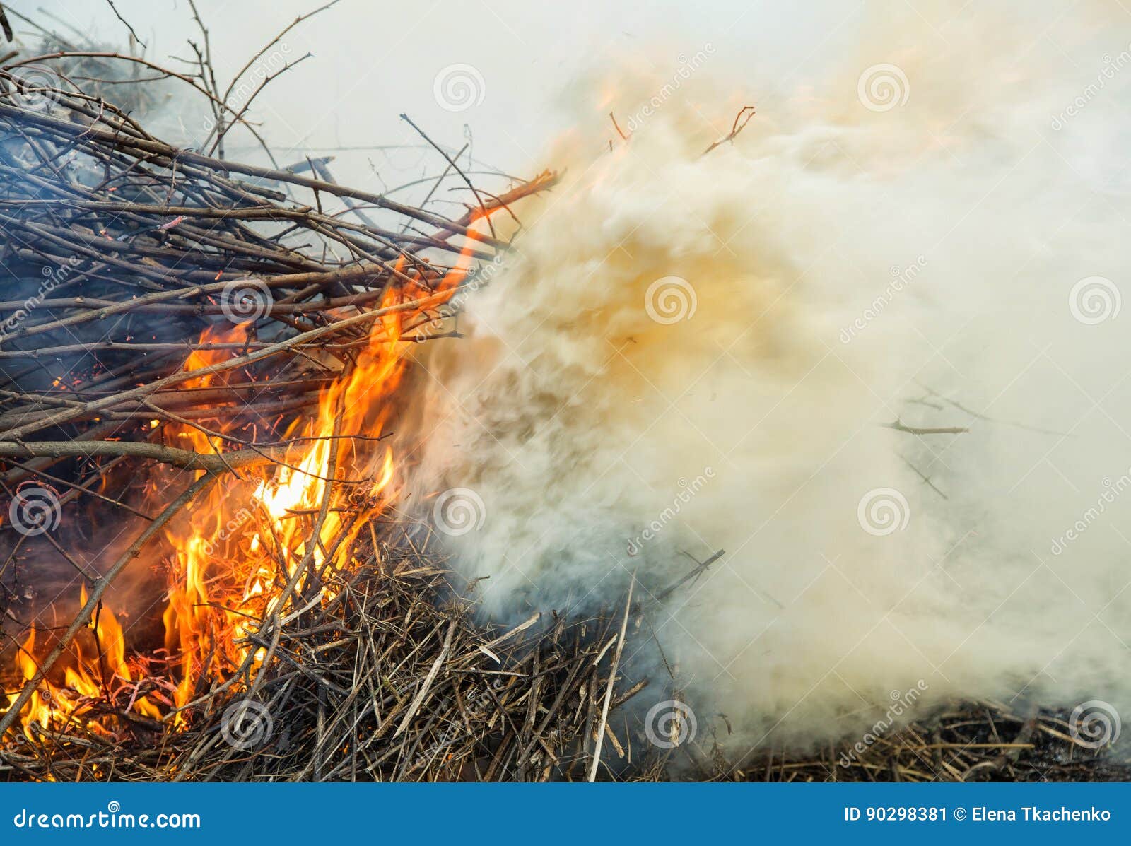 Spring Fire, Burning Debris Stock Image - Image of garden, burning ...