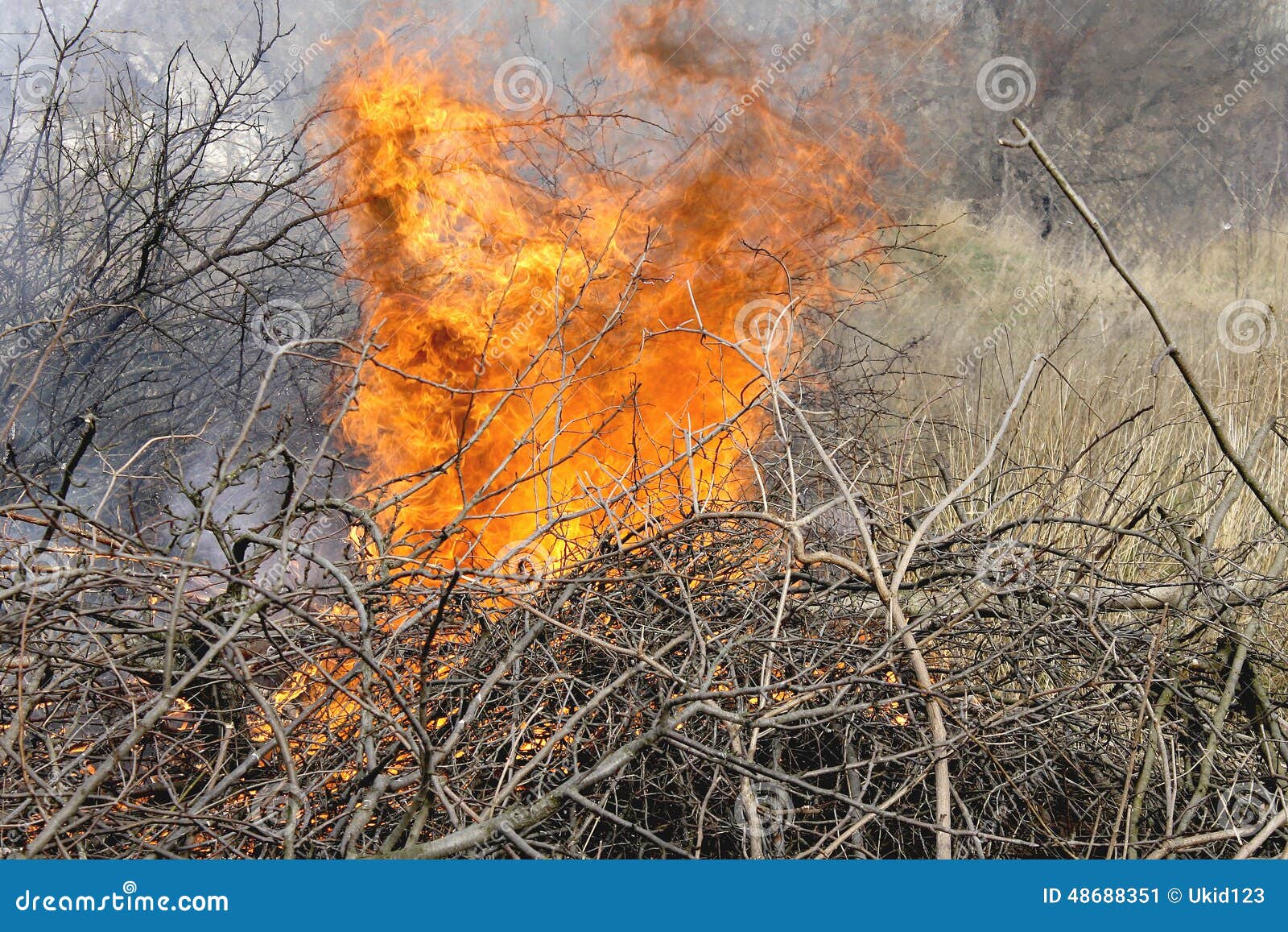 Spring fire stock image. Image of burning, night, close - 48688351