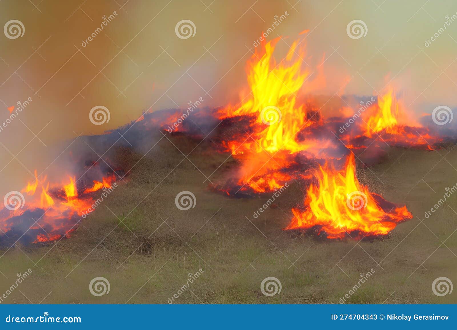 Spring Fires Creepy Shots, Burning Trees and Grass Stock Illustration ...