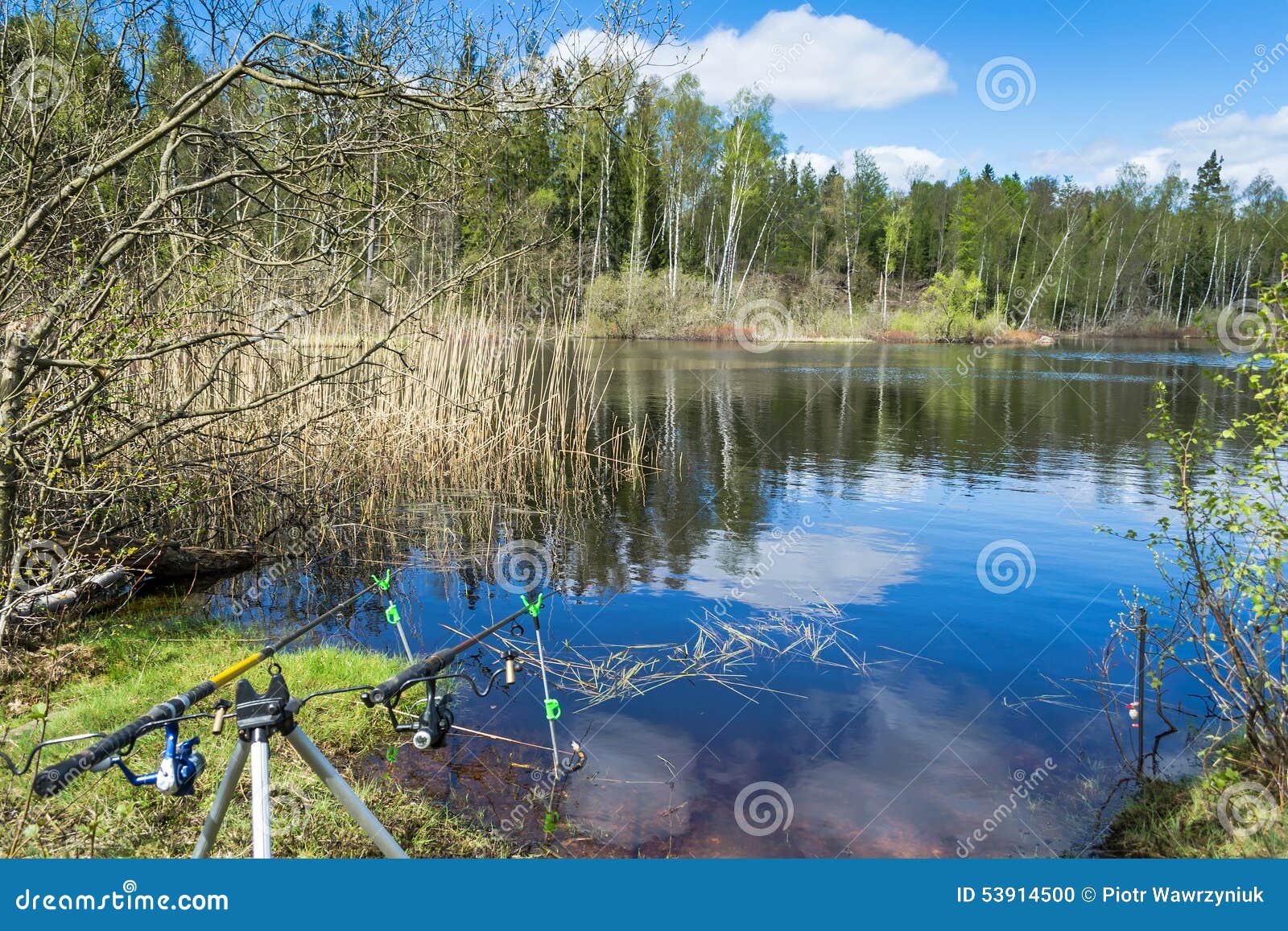 Spring fishing place stock photo. Image of reflection - 53914500
